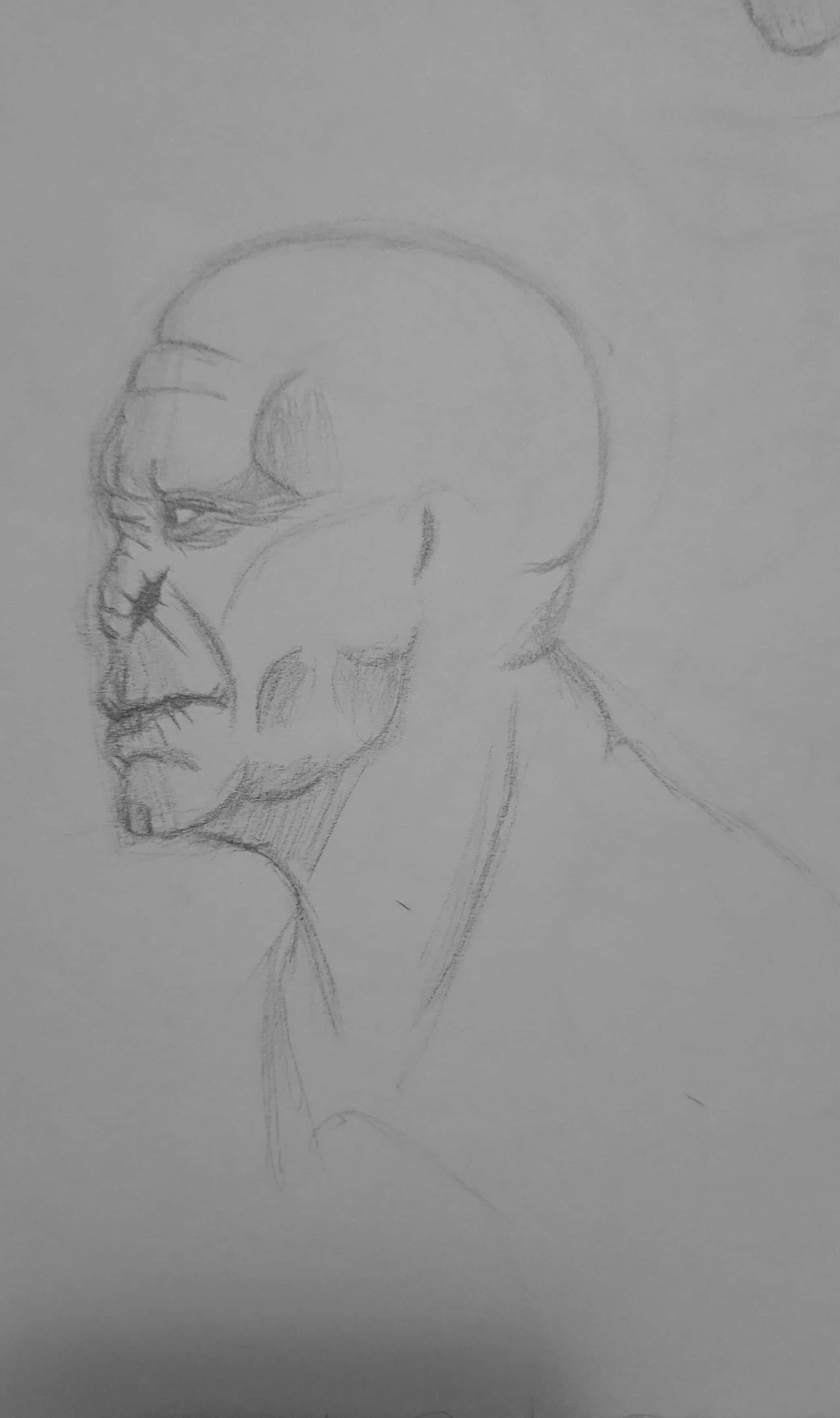 ArtStation - Creature side profile