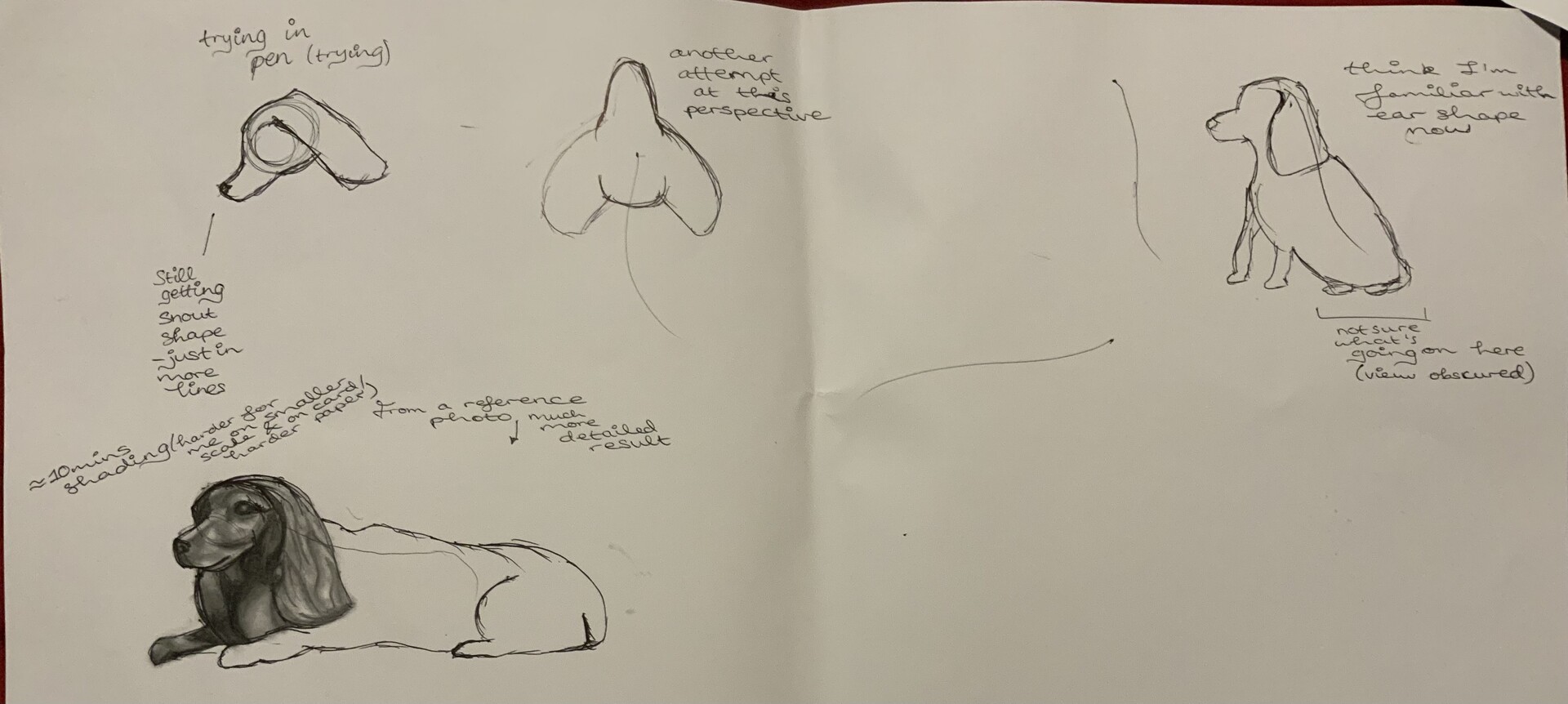 Ronnell Thomik - Animal Sketches