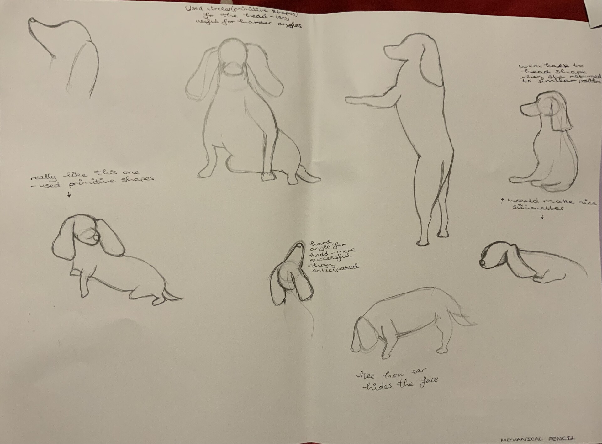 Ronnell Thomik - Animal Sketches