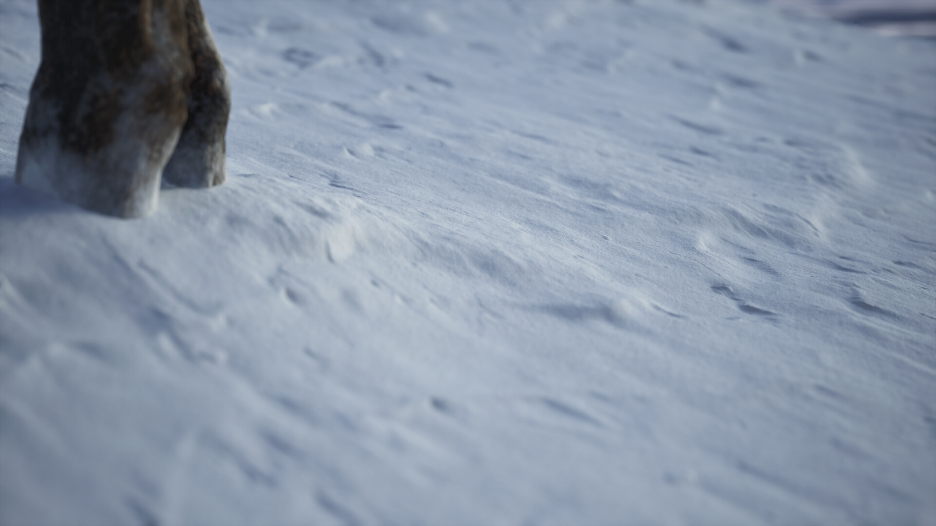 Émile Beaucage - Snow Materials Study- FMA Monthly Challenge