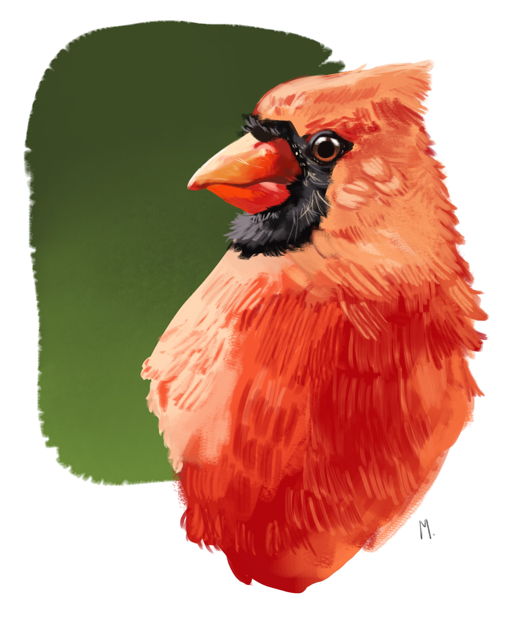 ArtStation - Red bird