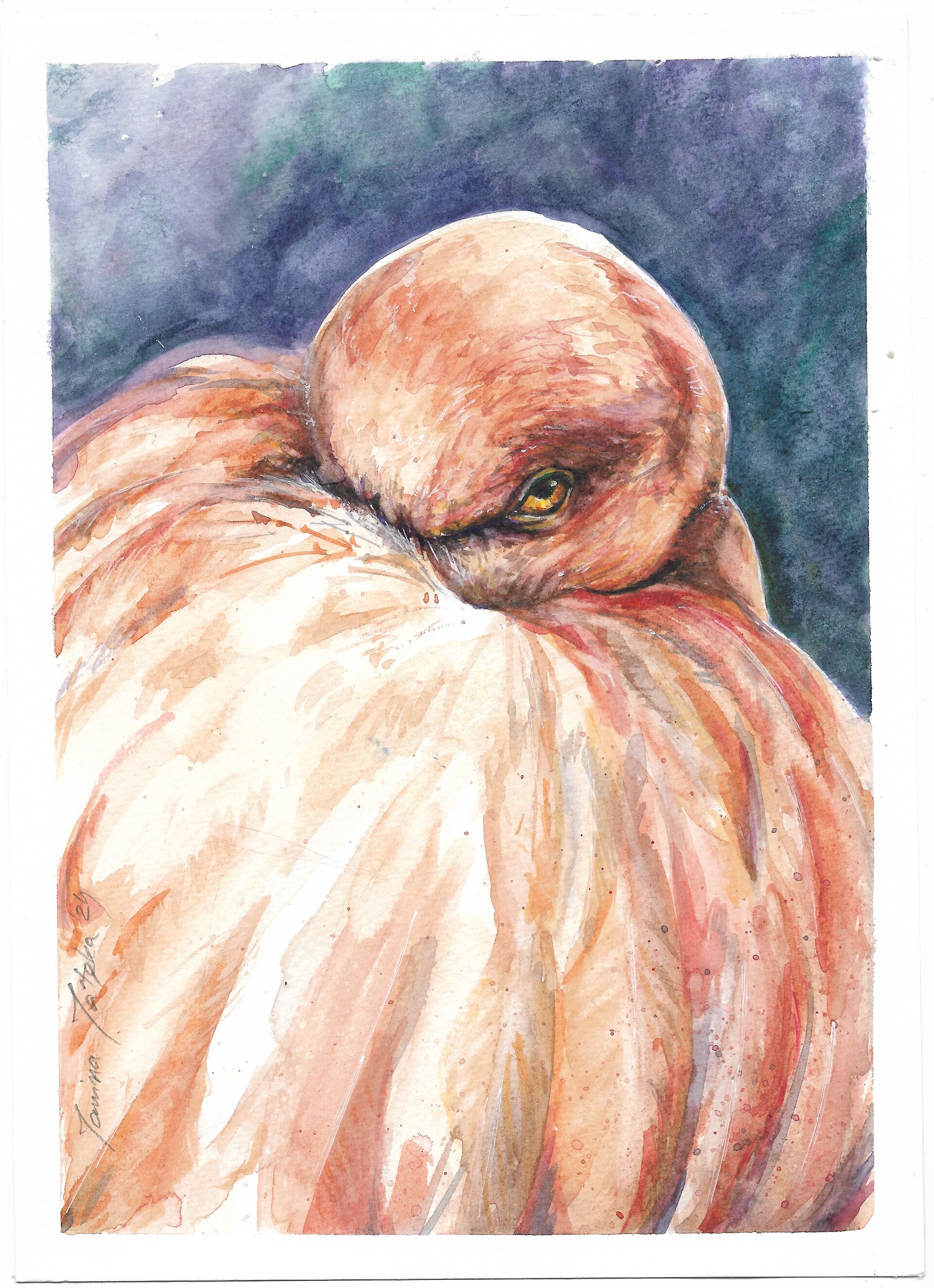 ArtStation - Flamingo Sunset