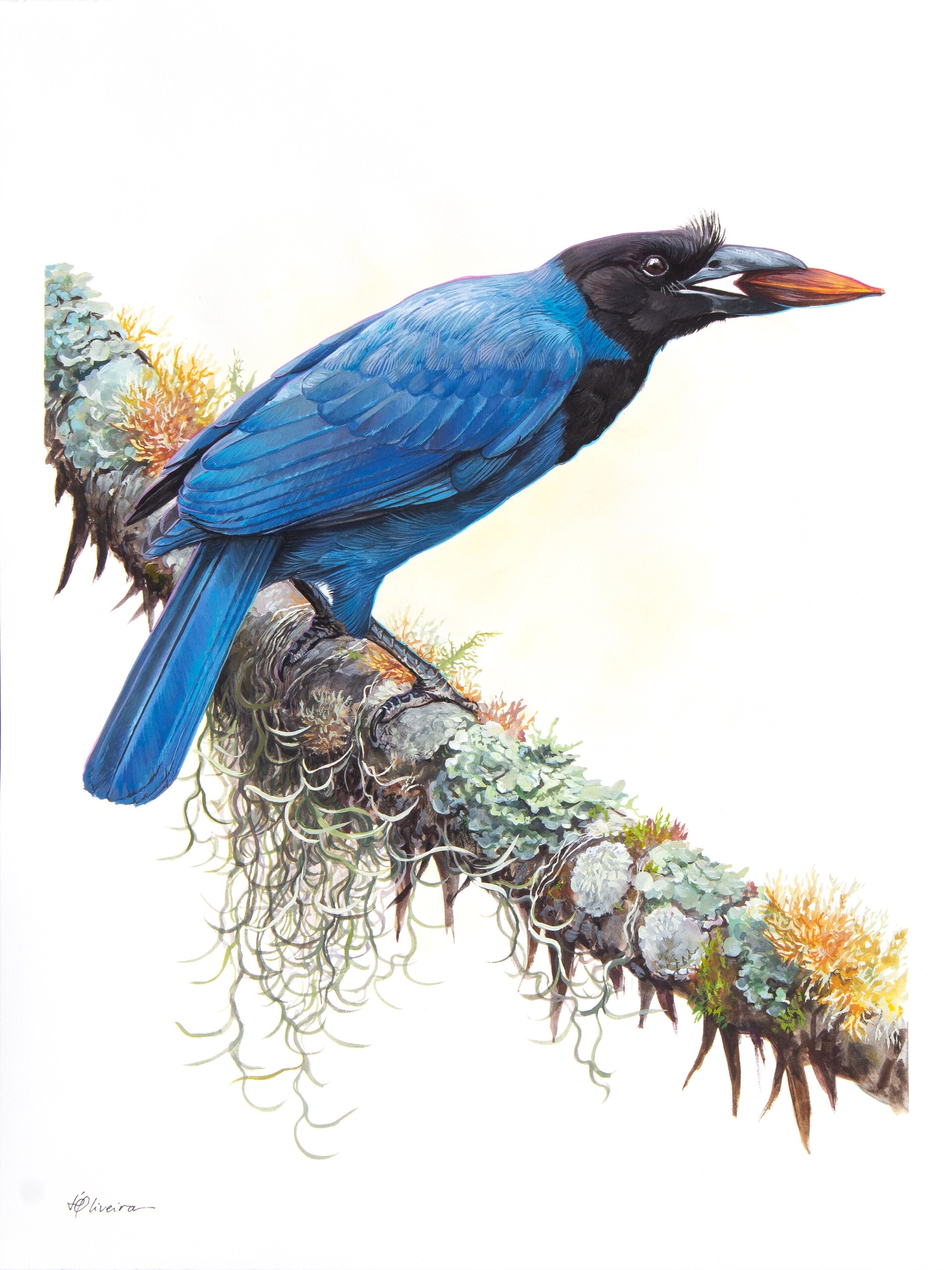 ArtStation - Azure Jay