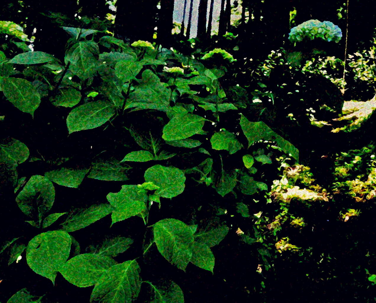 ArtStation - Hydrangea blooming in the forest (oil painting style)