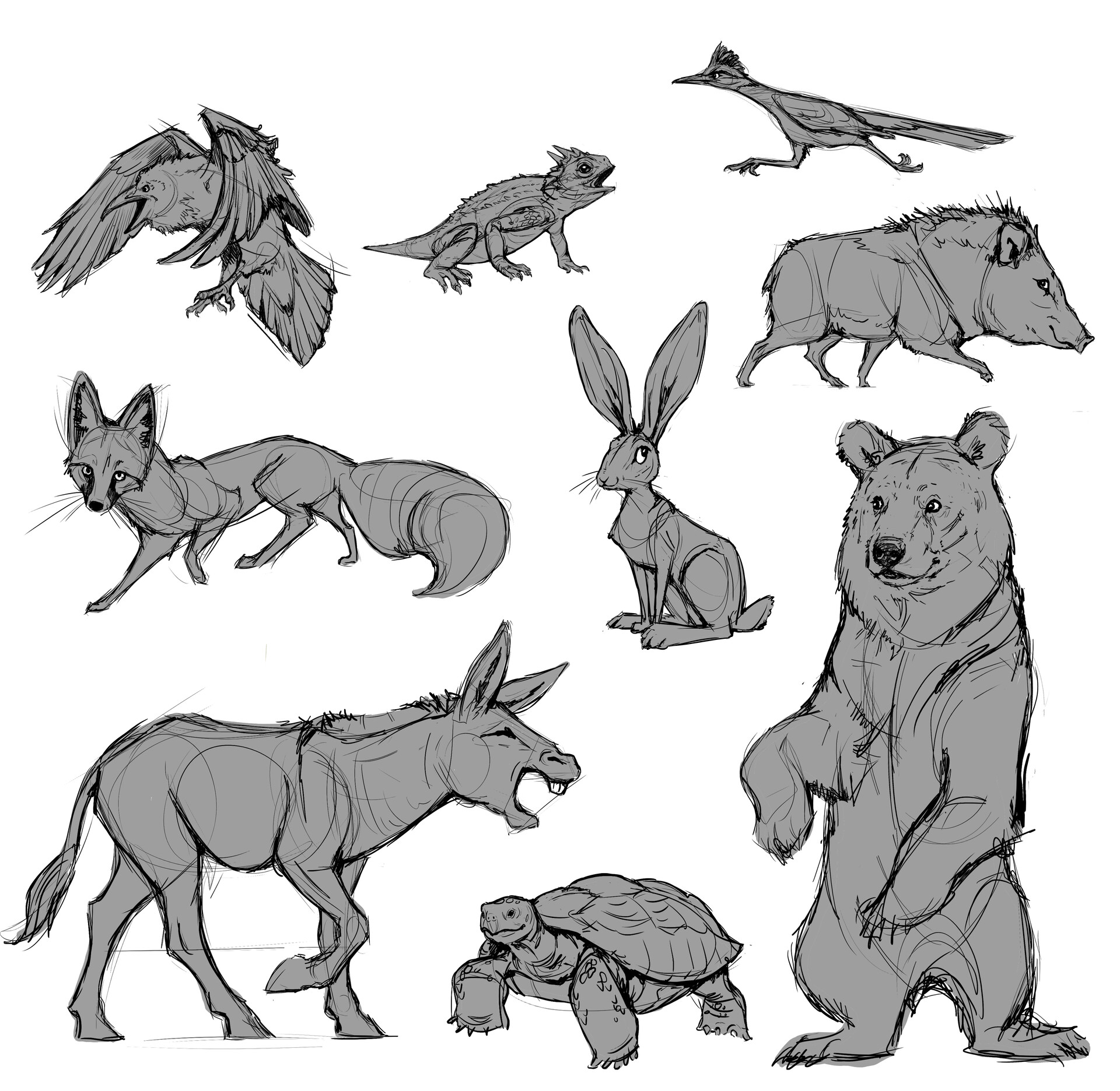 ArtStation - Animal Character Sketches