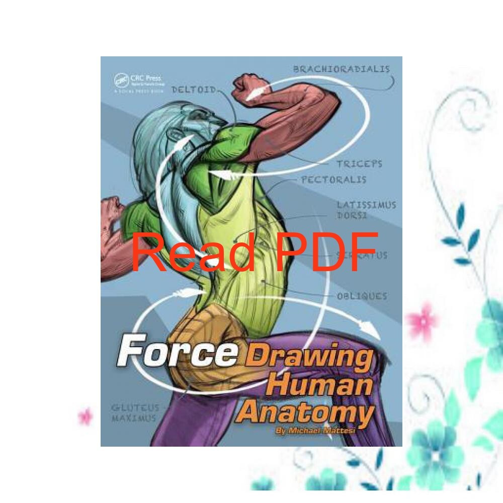 ArtStation - [Read & Download] [PDF] FORCE Drawing Human Anatomy (Force ...