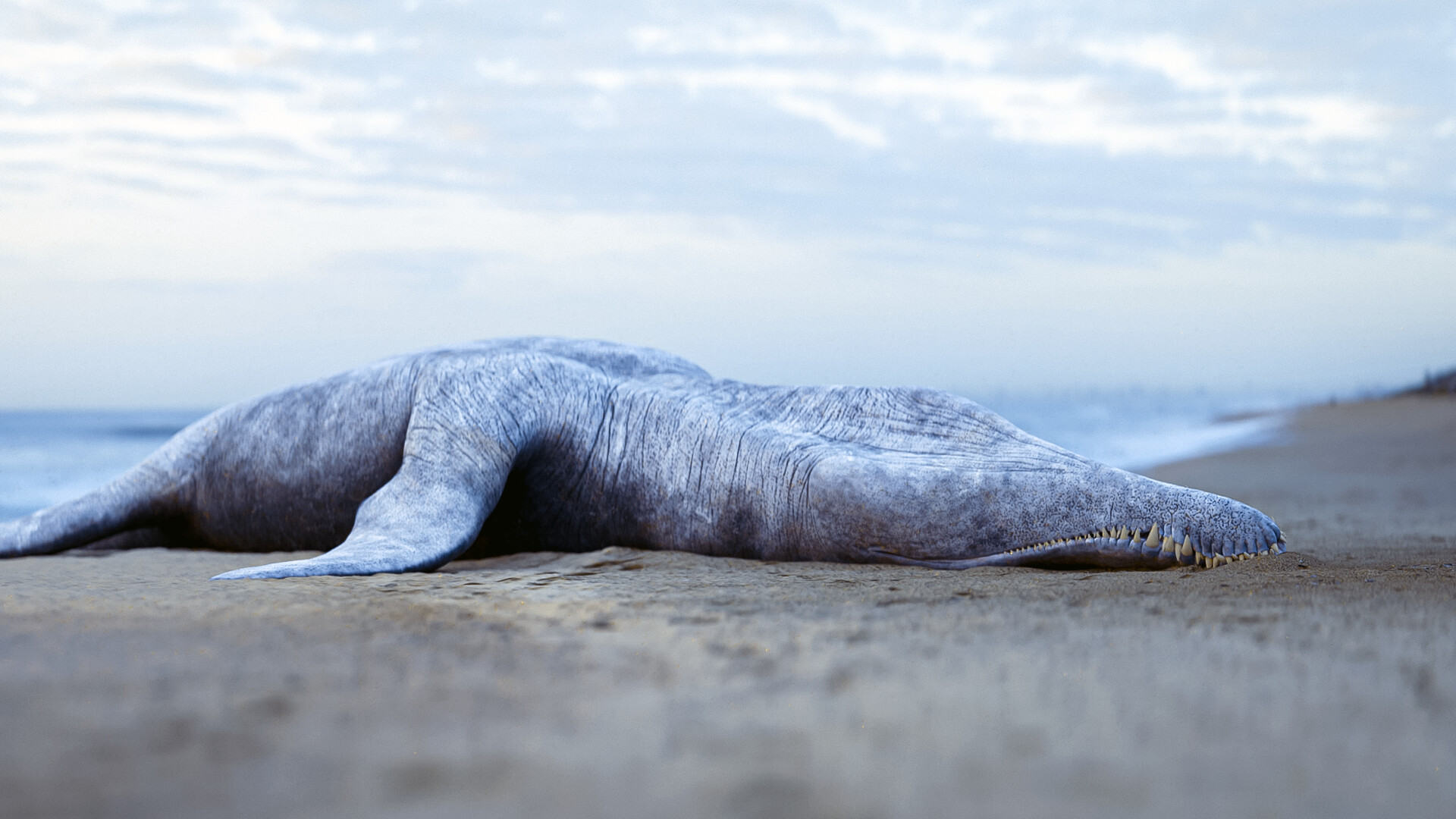 Jonathan Harris - Pliosaurus Life Reconstruction