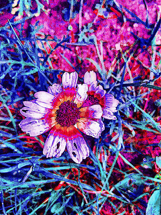 ArtStation - Also Sparkle But Distant