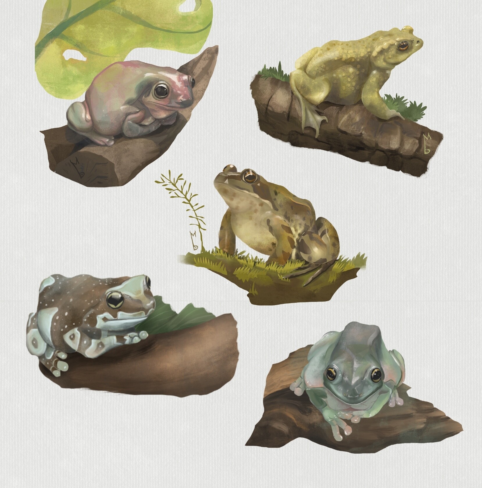 ArtStation - Amphibian exhibition