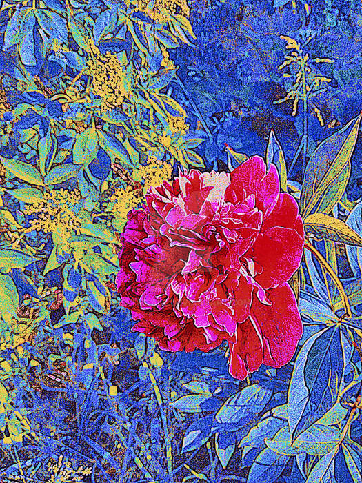 ArtStation - Morning Mist