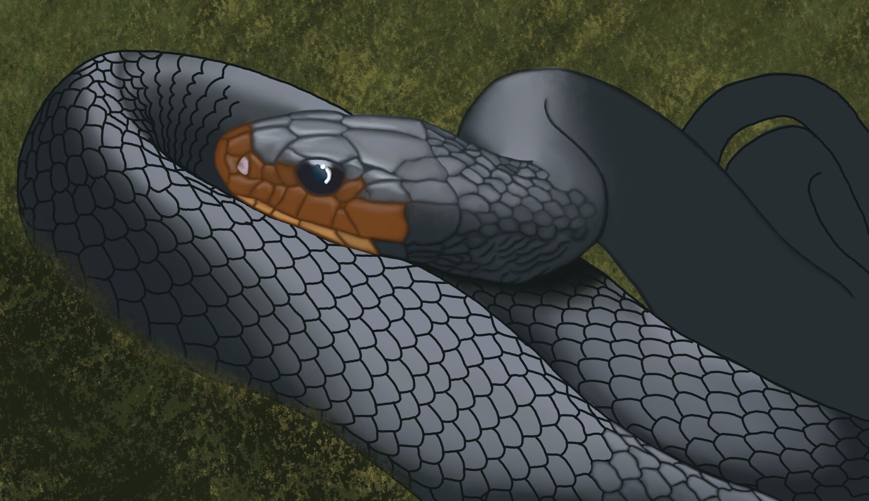 ArtStation - Digital Snake Realism - WIP