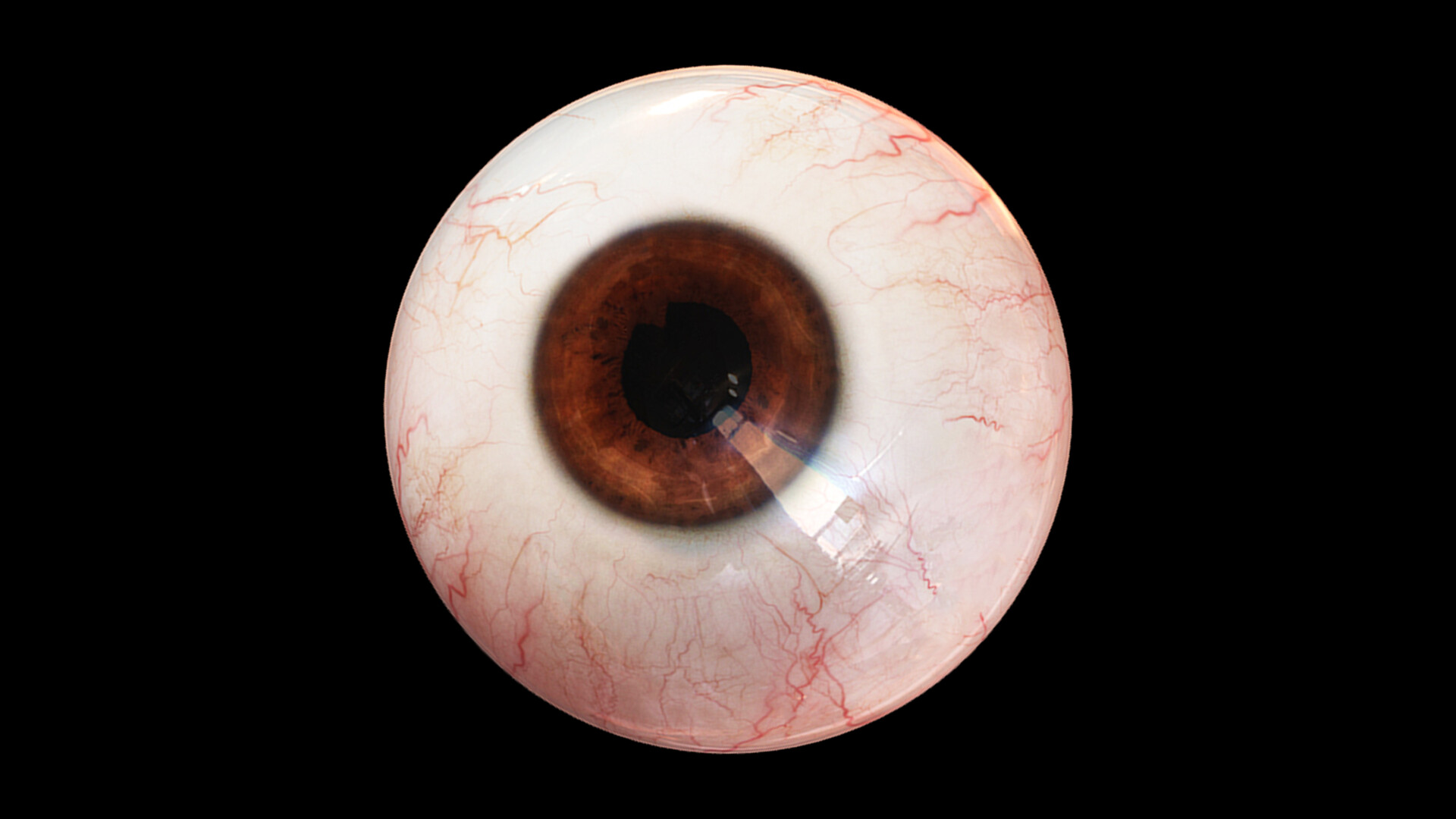 ArtStation - Eye 3D Model - Realistic Human Eye Anatomy