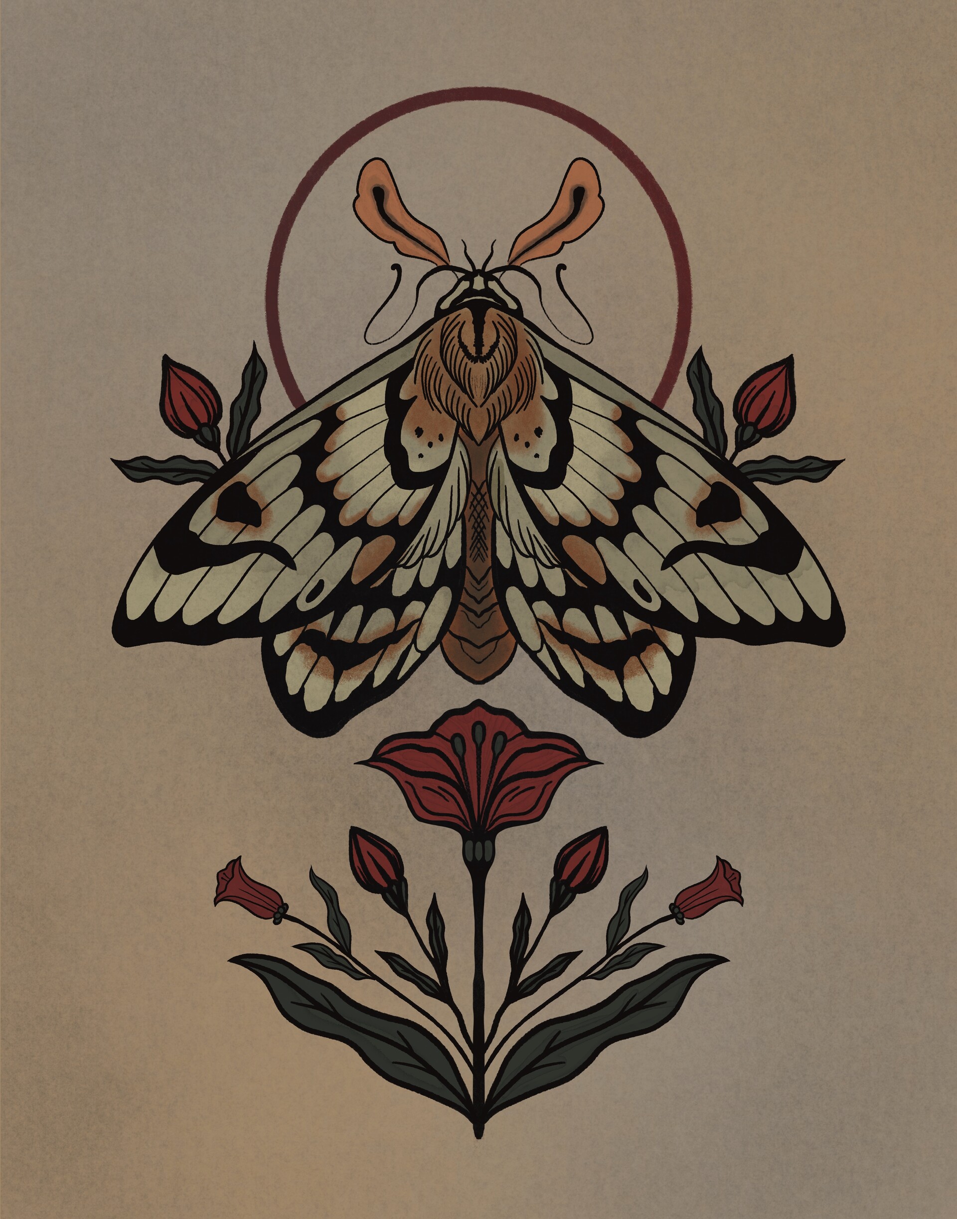 ArtStation - Moth digital illustration