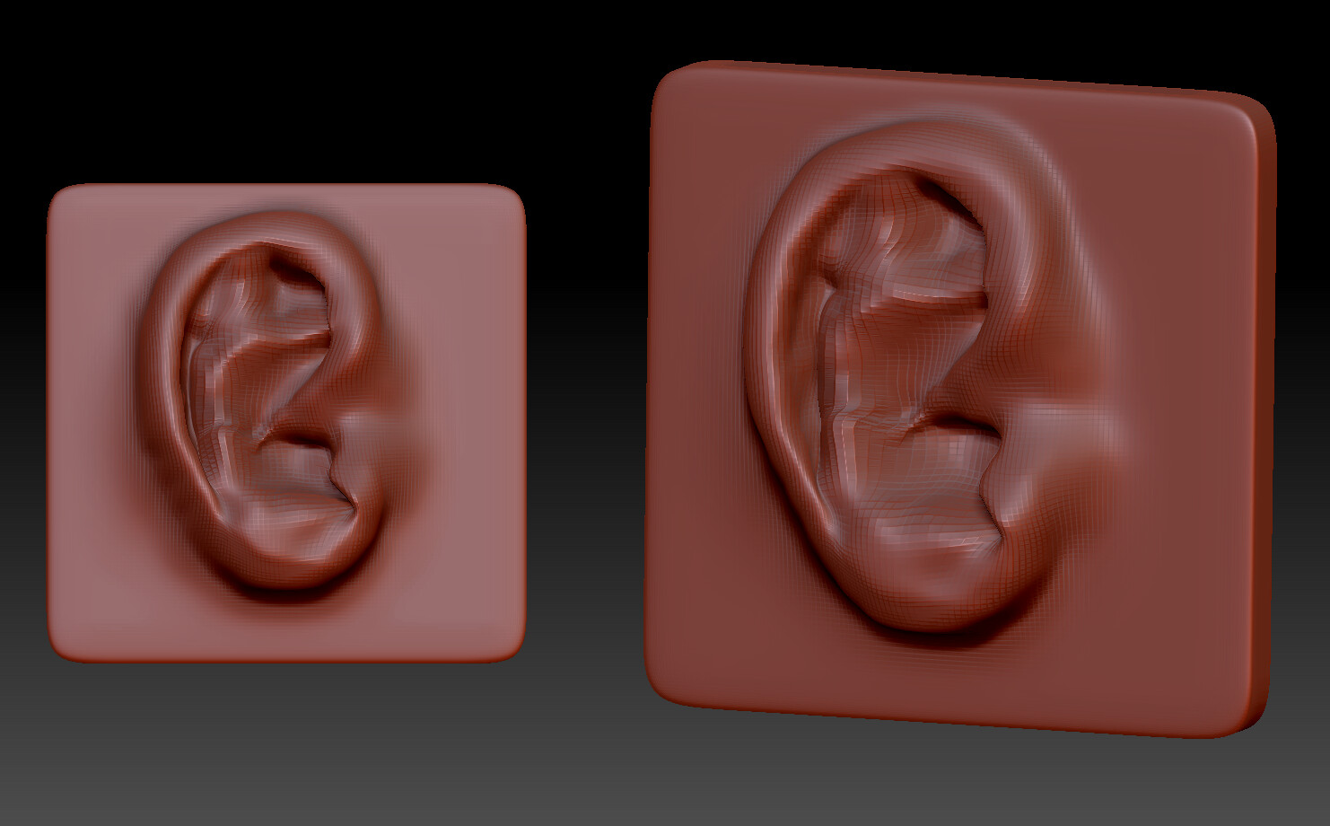 ArtStation - Sculpted of an ear.