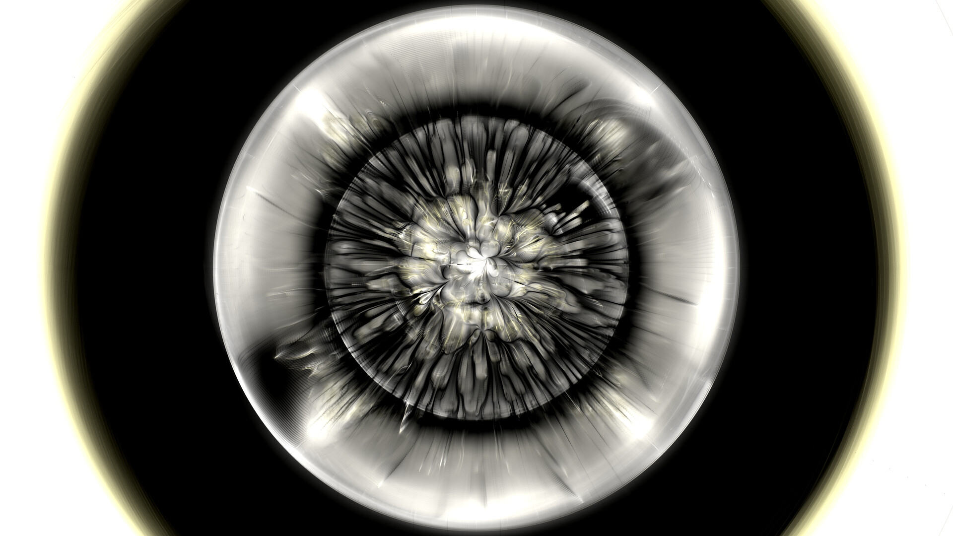 ArtStation - WHITE ORCHID SEED