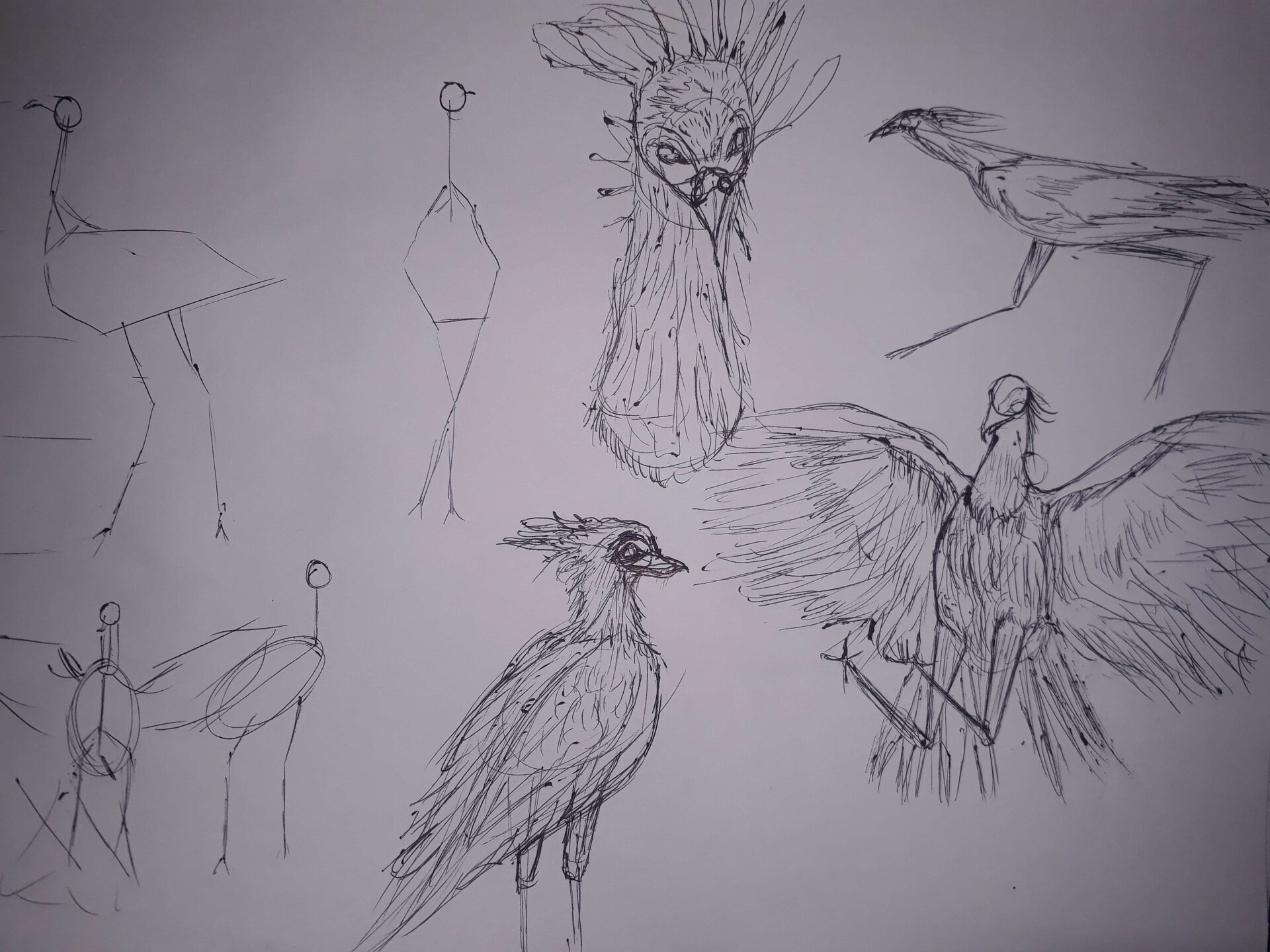 ArtStation - dynamic sketching