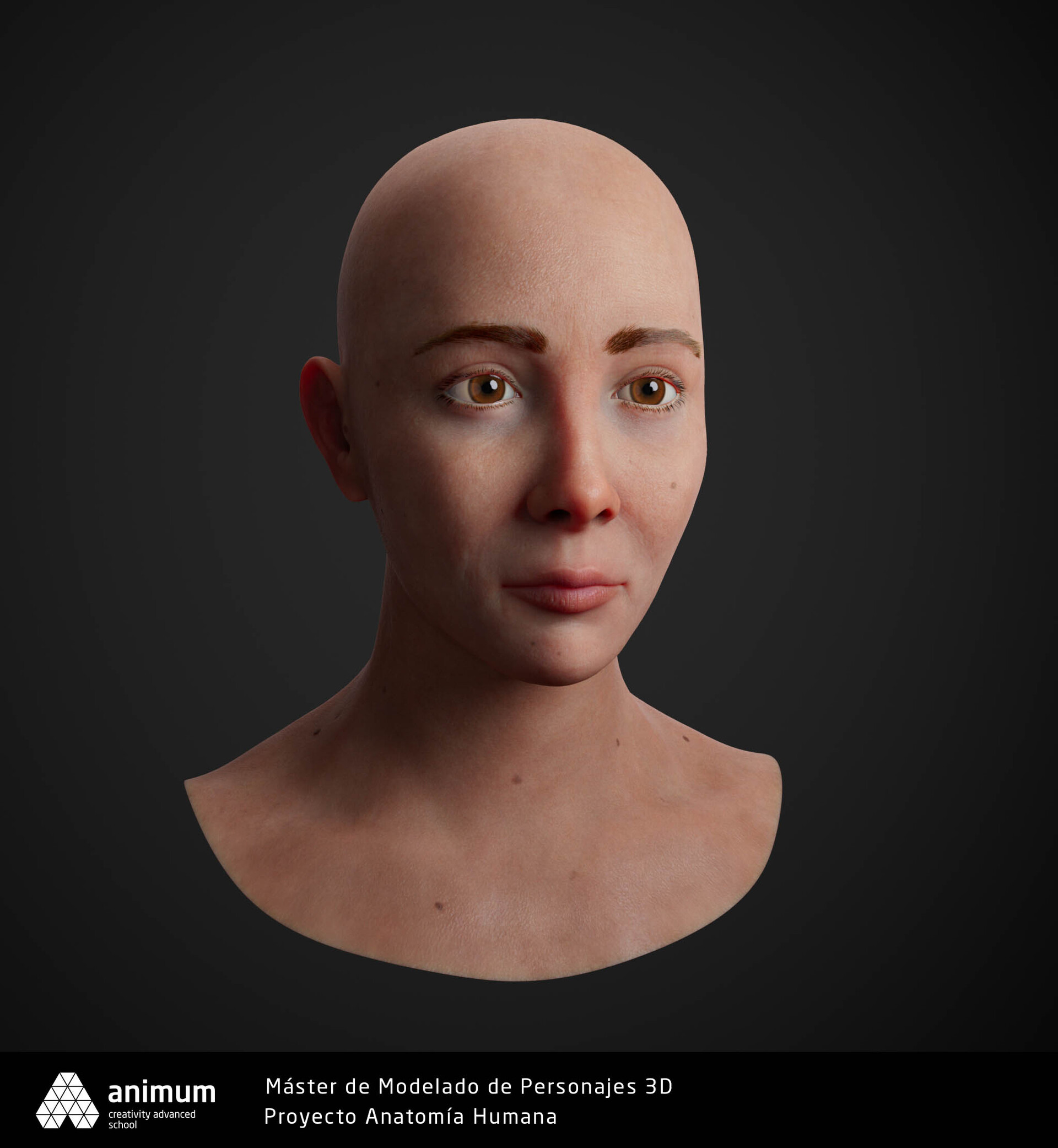 ArtStation - Human Anatomy - Bust detailing