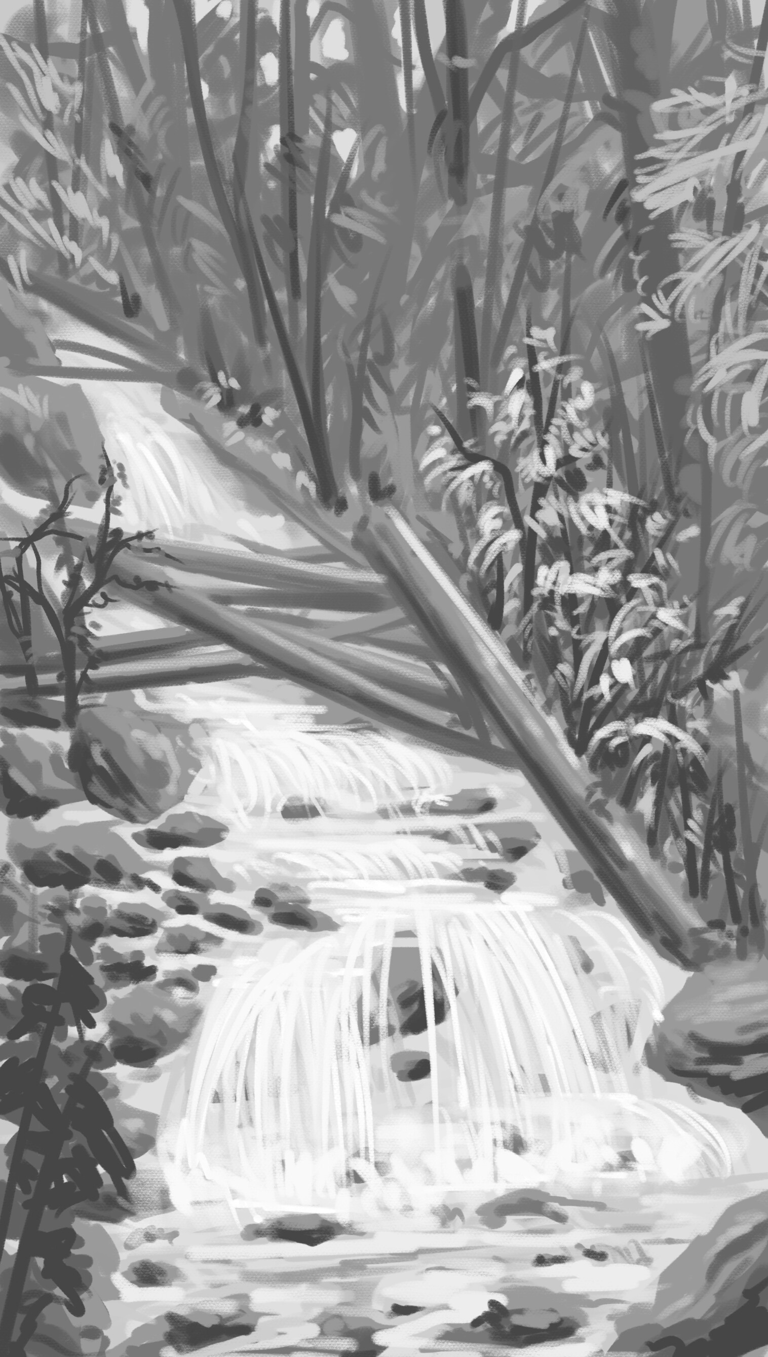 ArtStation - Greyscale sketch