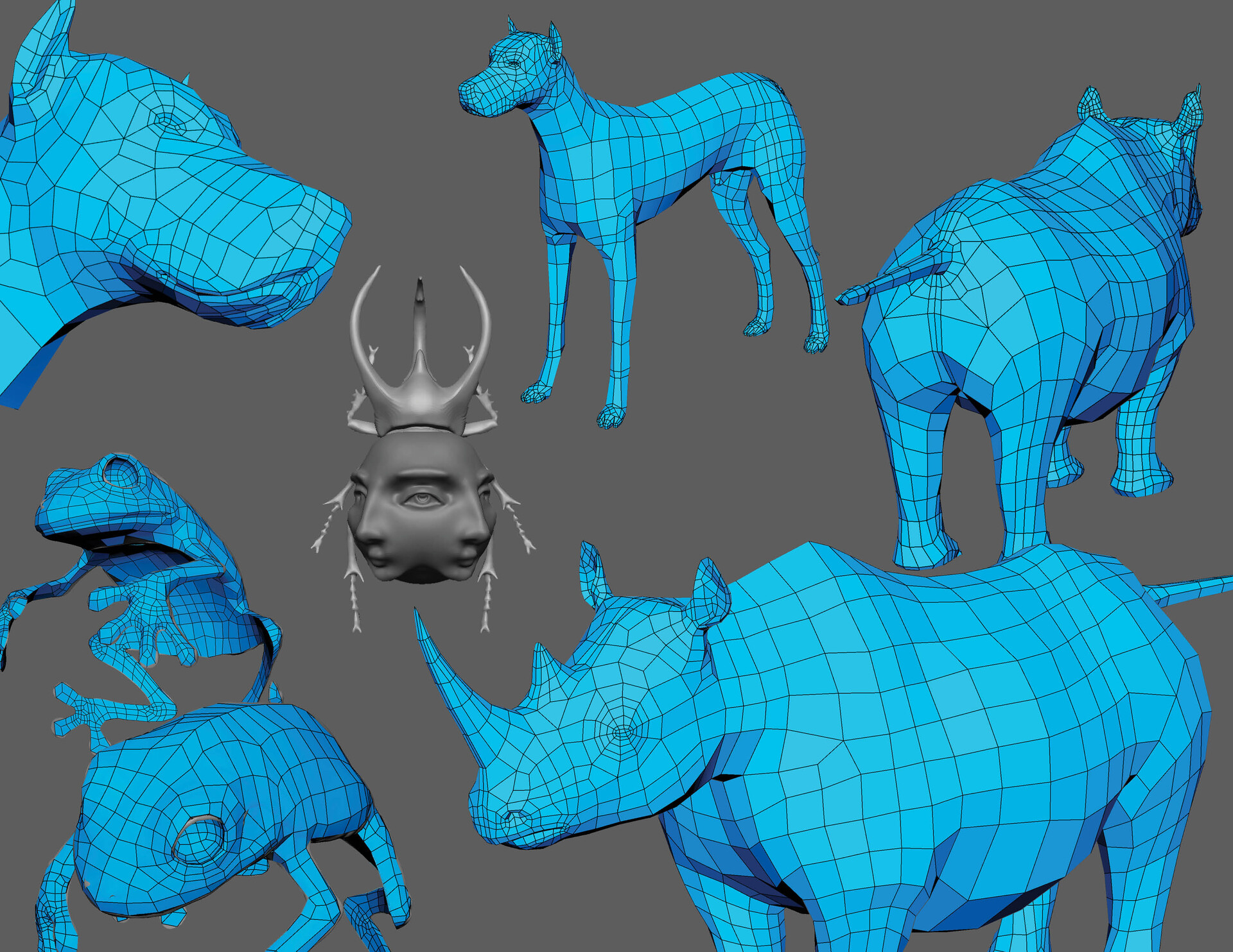 ArtStation - Animals Retopology