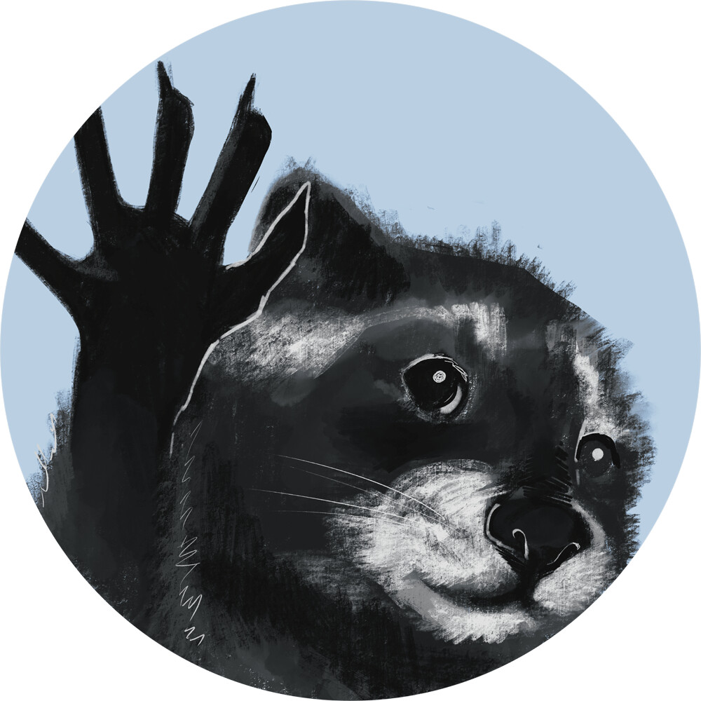 ArtStation - pedro raccoon