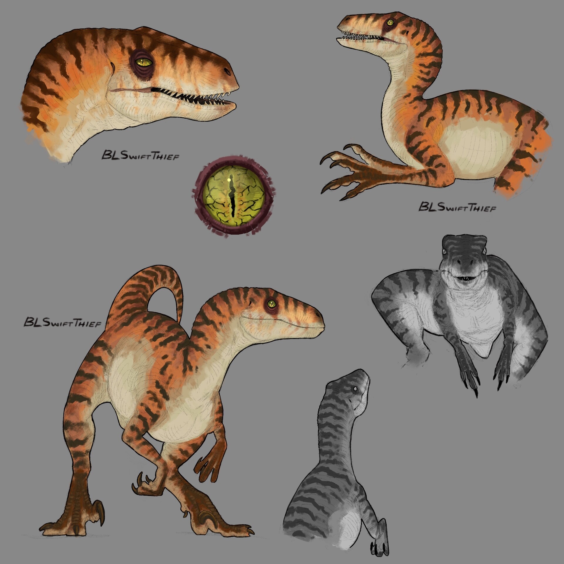 ArtStation - Velociraptor anatomy (TLW:JP male)