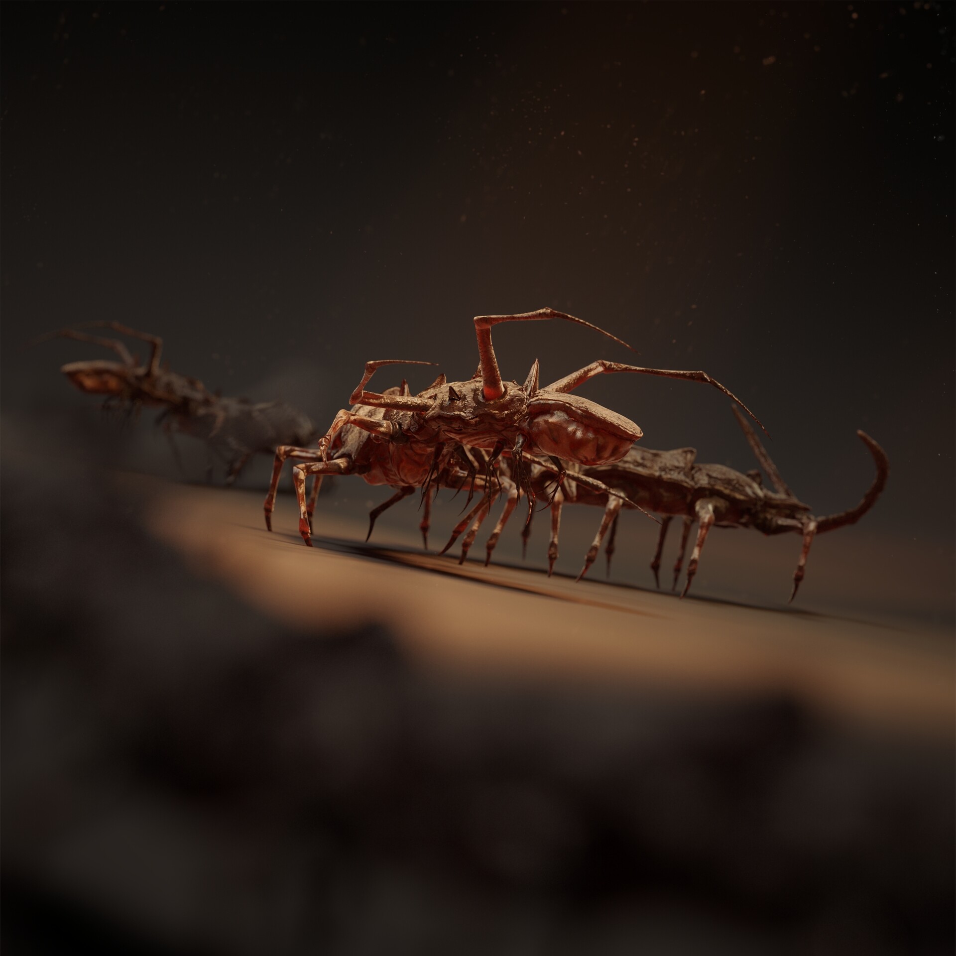 Tomasz Taciak - SERUM - Centipede