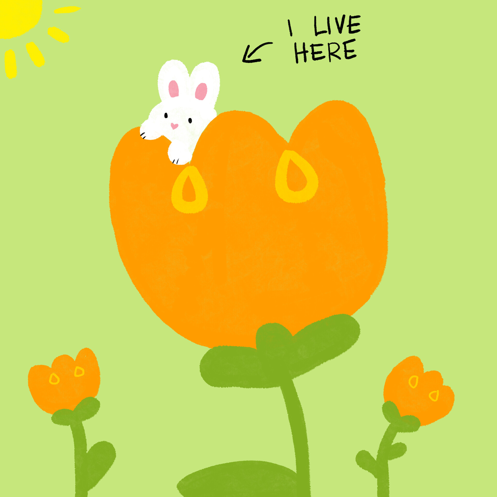 ArtStation - bunny tulip