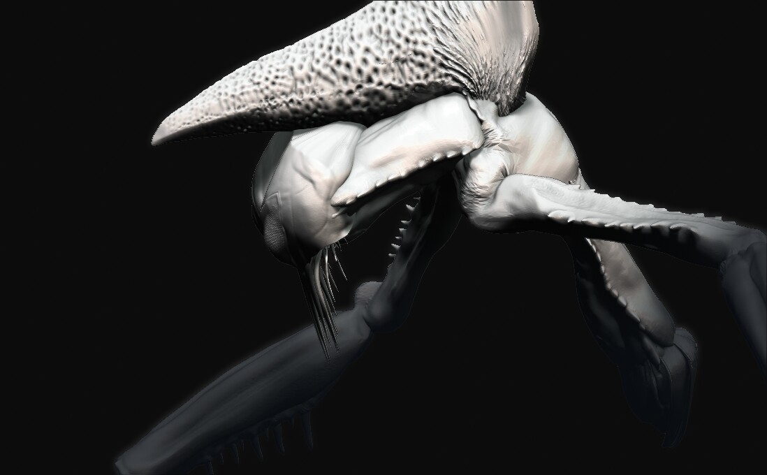 ArtStation - Woki Toki