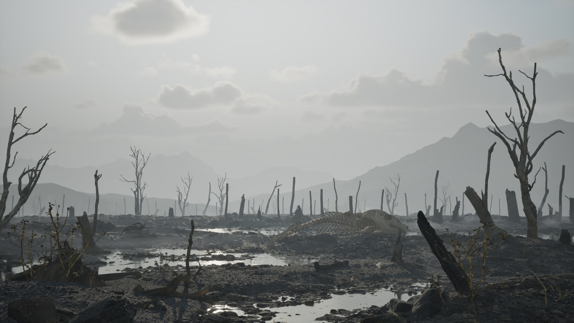 ArtStation - 3d environment (fire-ravaged forest)