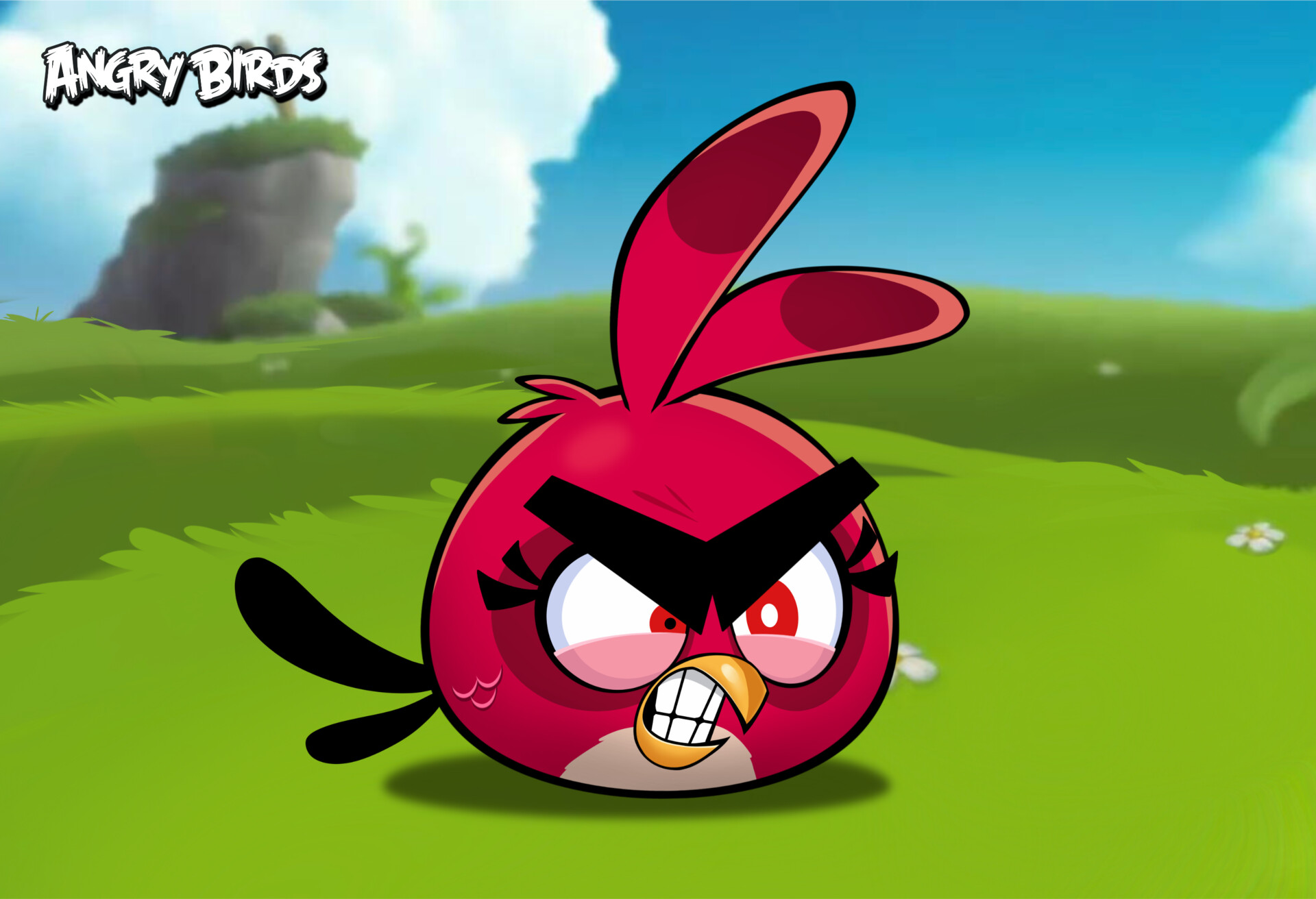 KrimaDraws - Angry Birds - Ruby in Different Styles