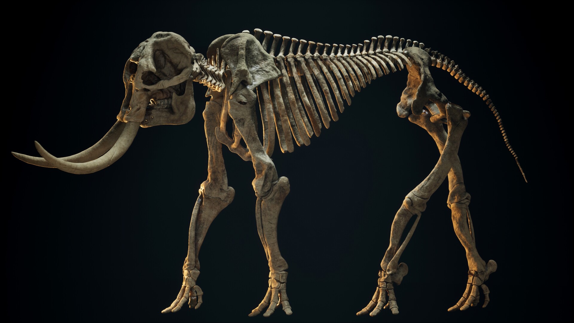 ArtStation - Elephant Skeleton