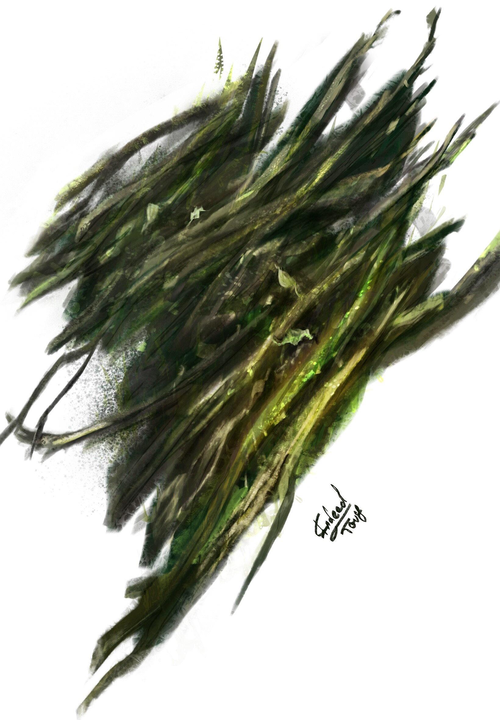ArtStation - Pile of tree brunch practice in a Procreate NO AI
