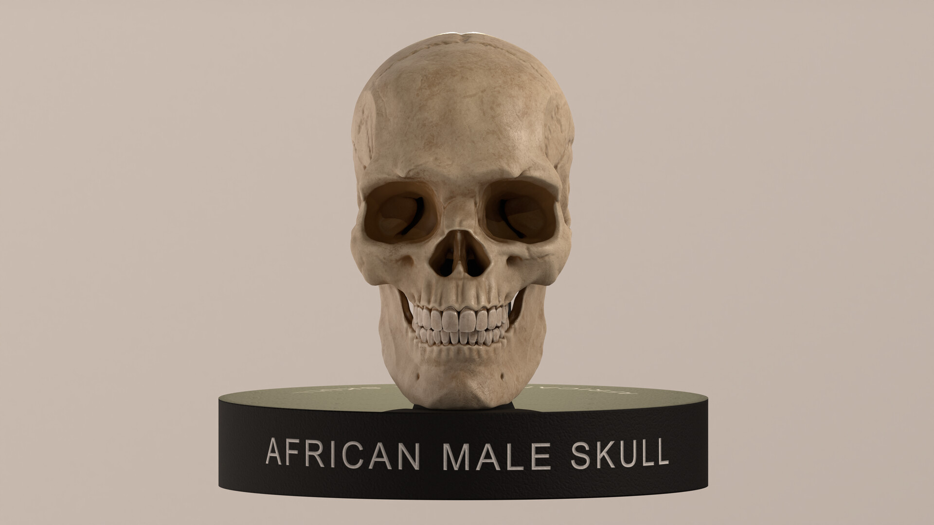 african skull