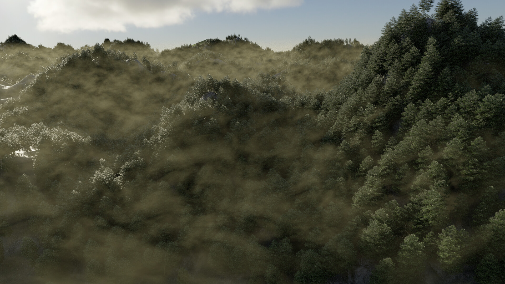 ArtStation - A forest scene render