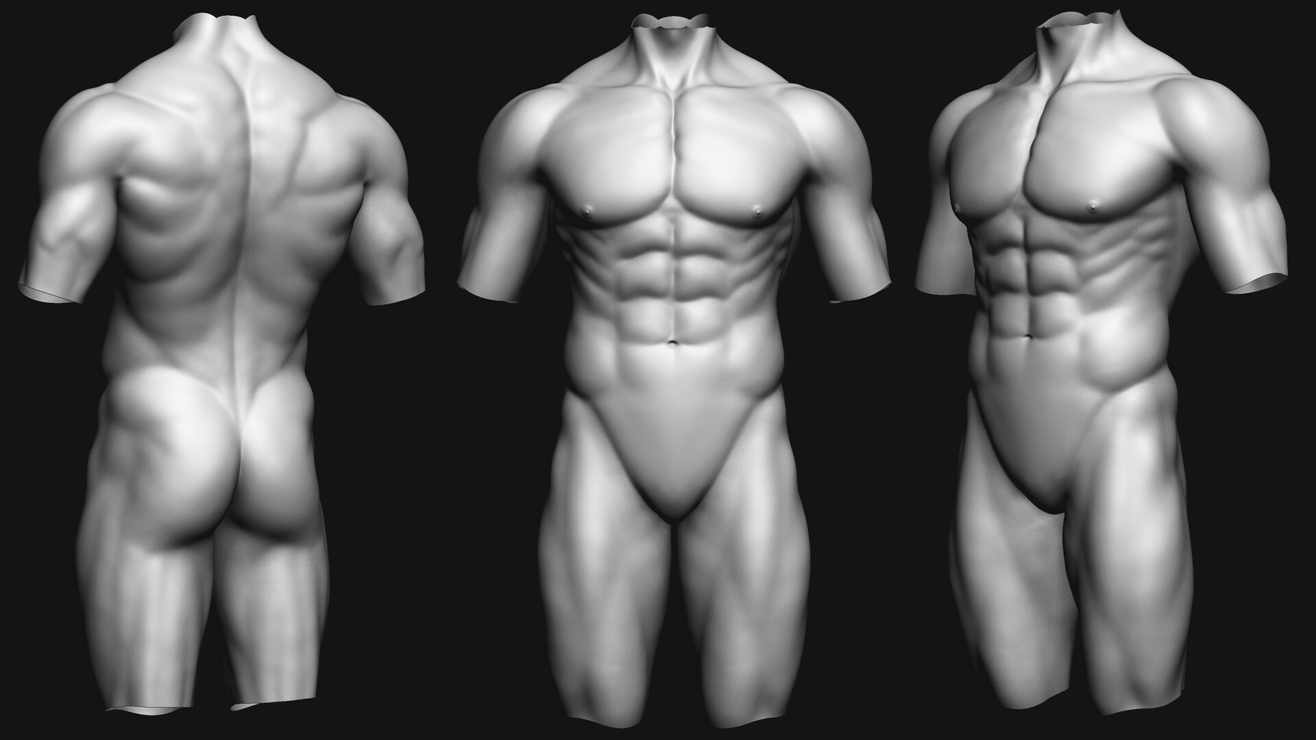 ArtStation - Male Torso Study