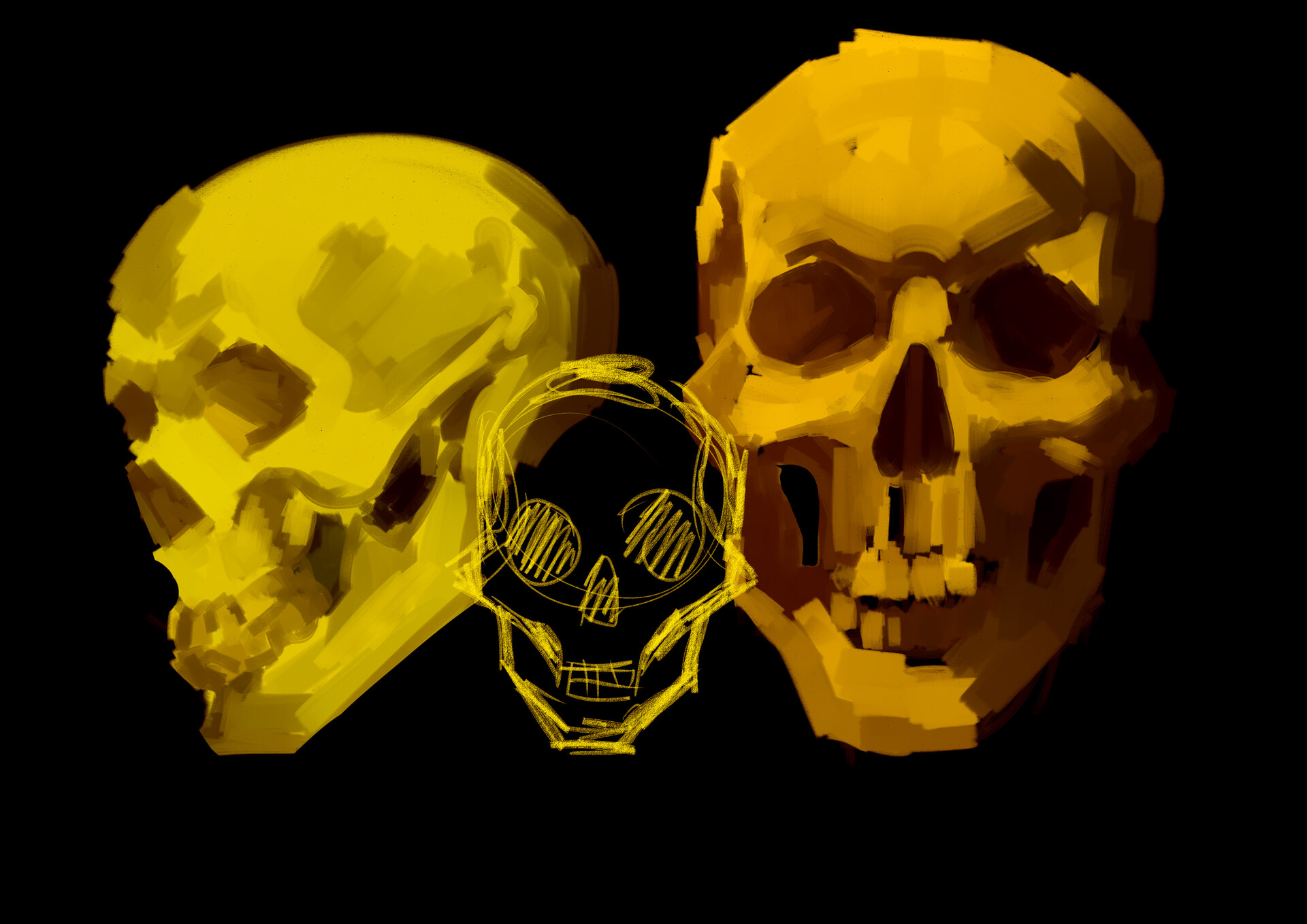 ArtStation - [ DIGITAL REFERENCE STUDIES ] SKULLS