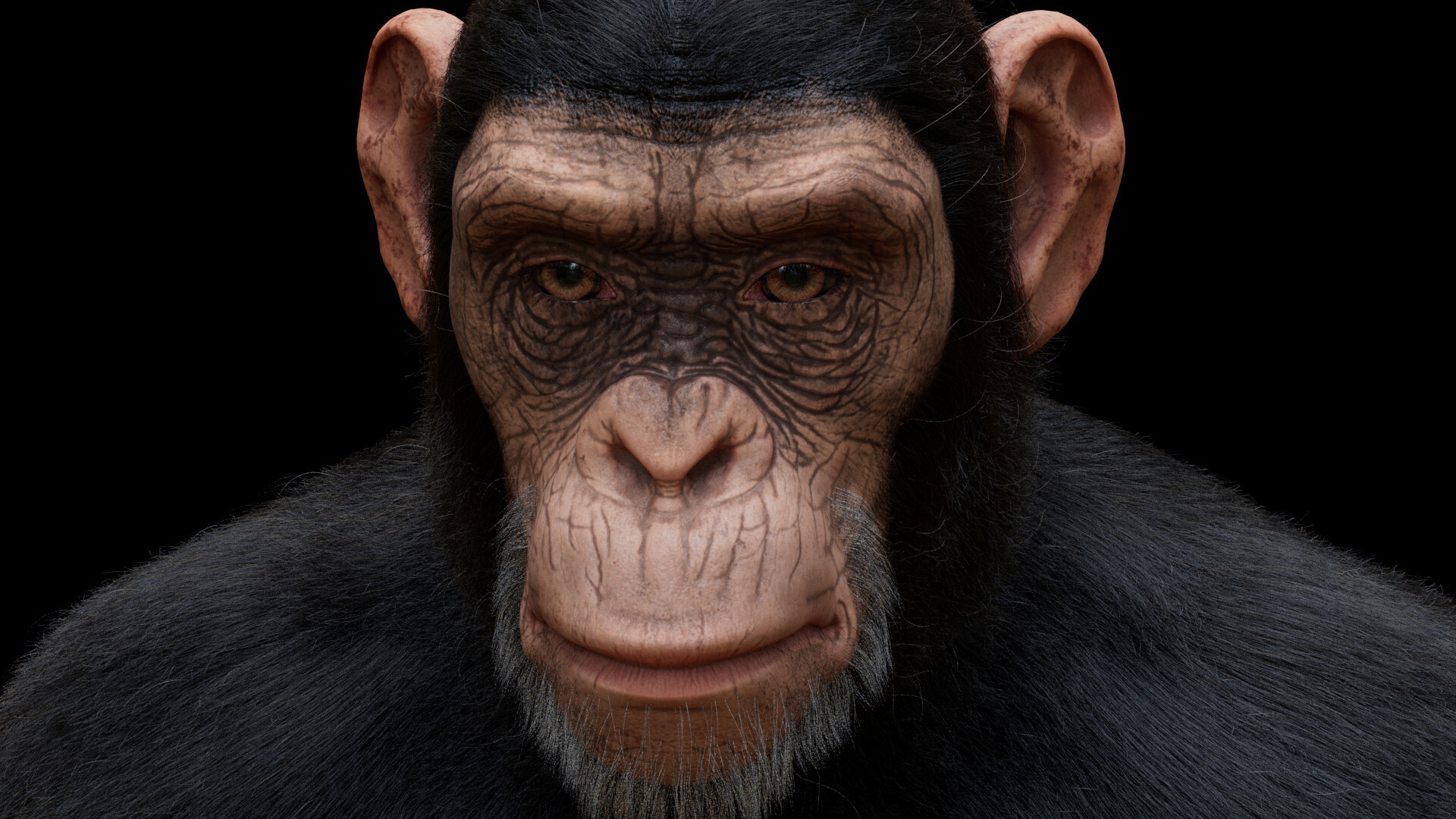 ArtStation - The Ape