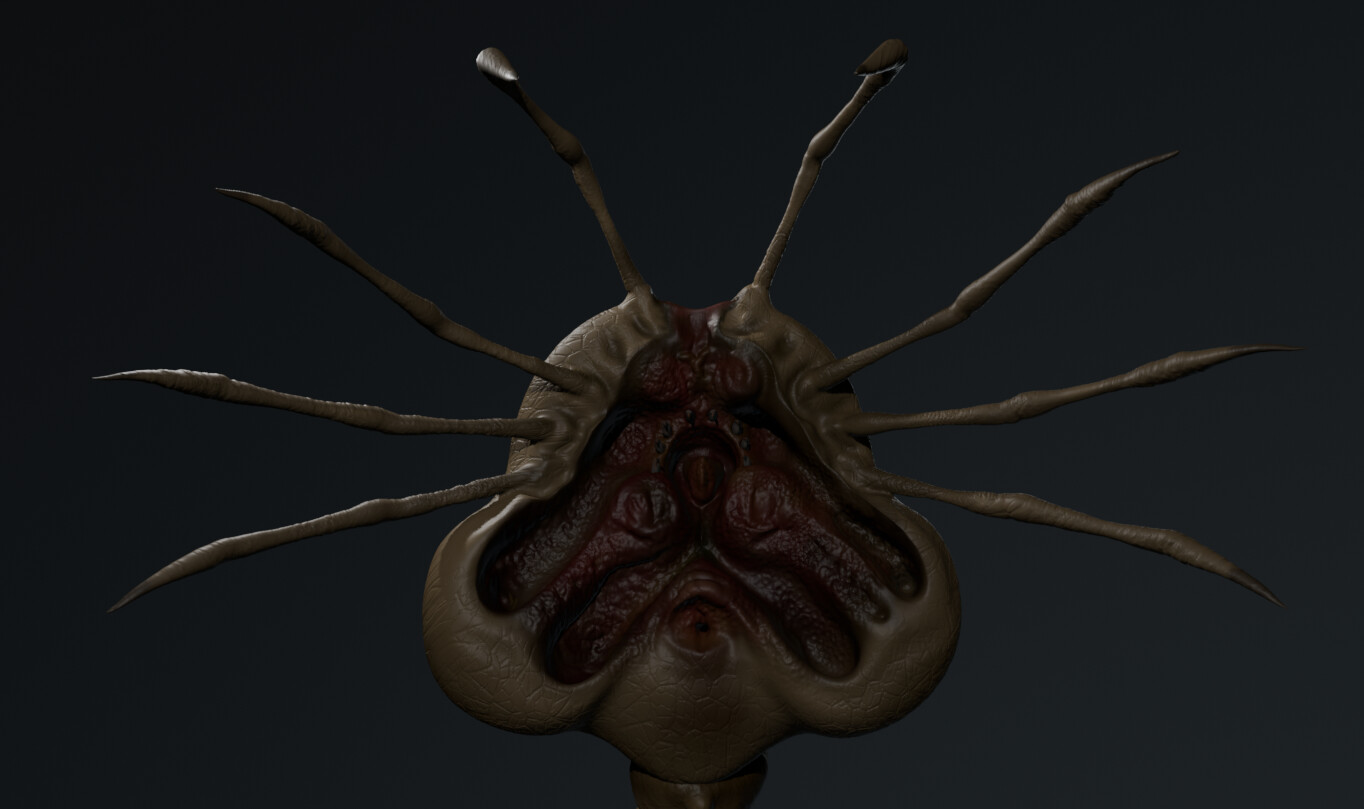 ArtStation - Alien Face Hugger in Blender
