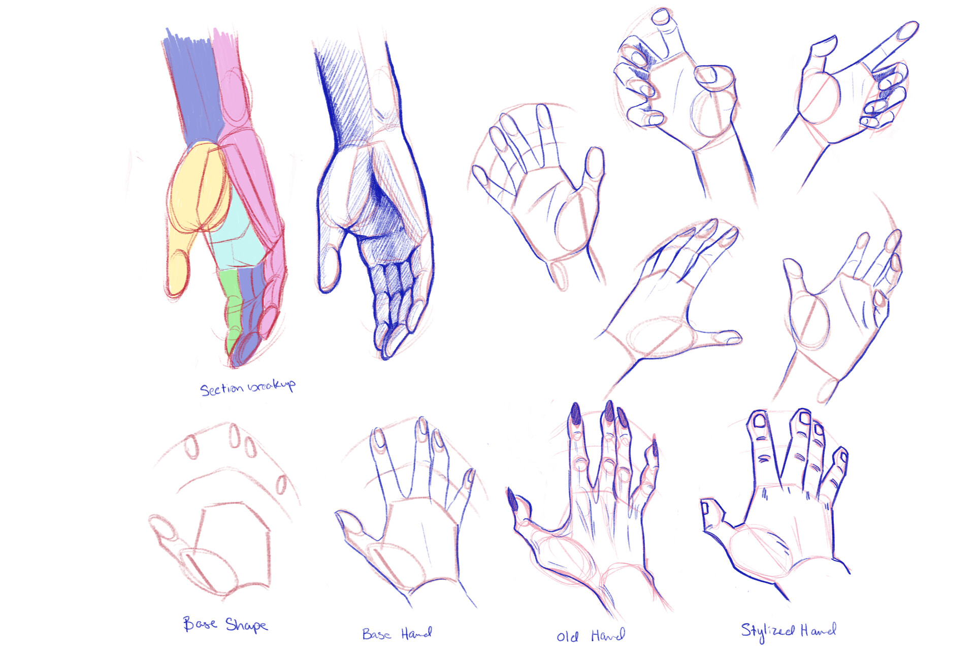 ArtStation - Anatomy Study - Hand