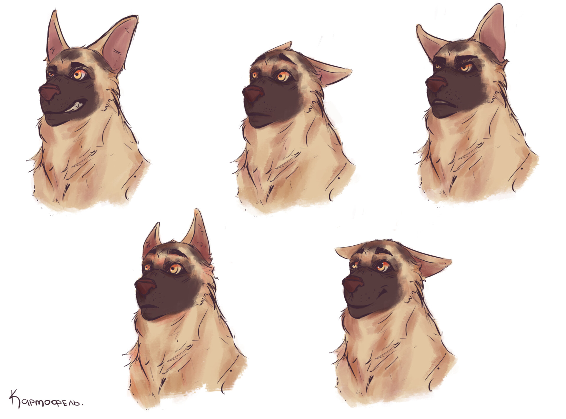 ArtStation - Dog emotions.