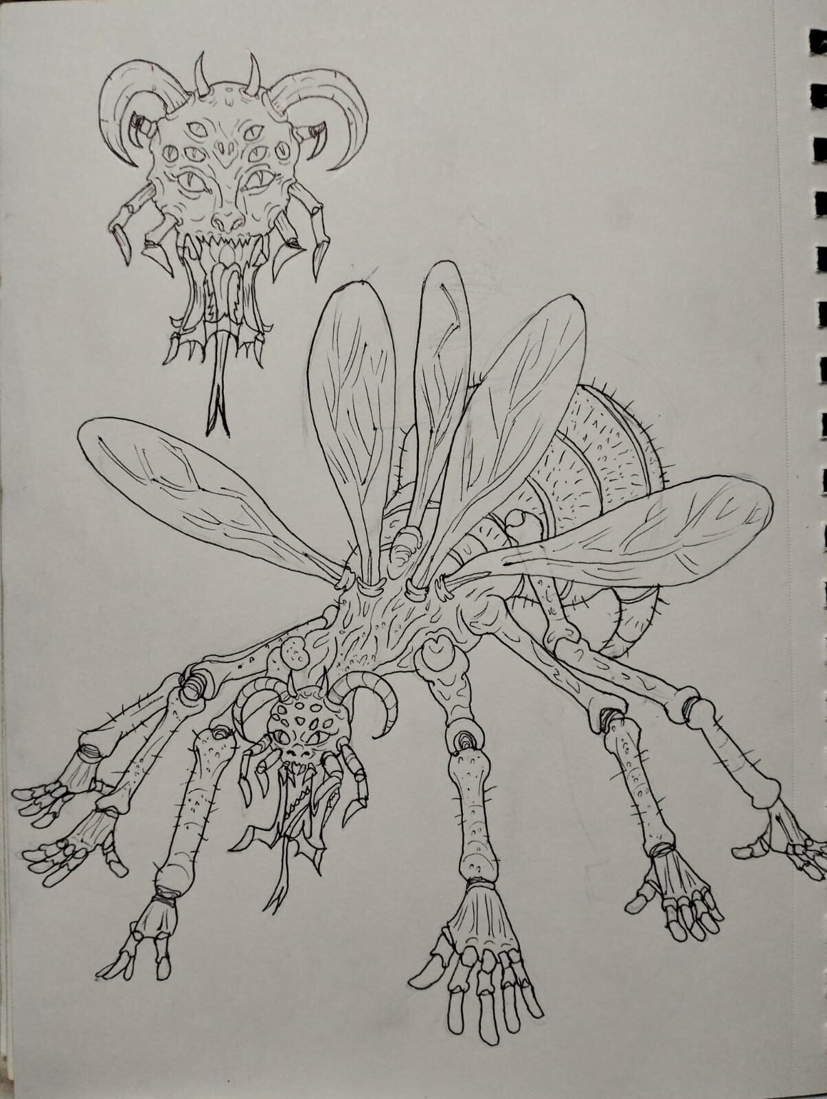 ArtStation - Human Insect amalgam - OC Character