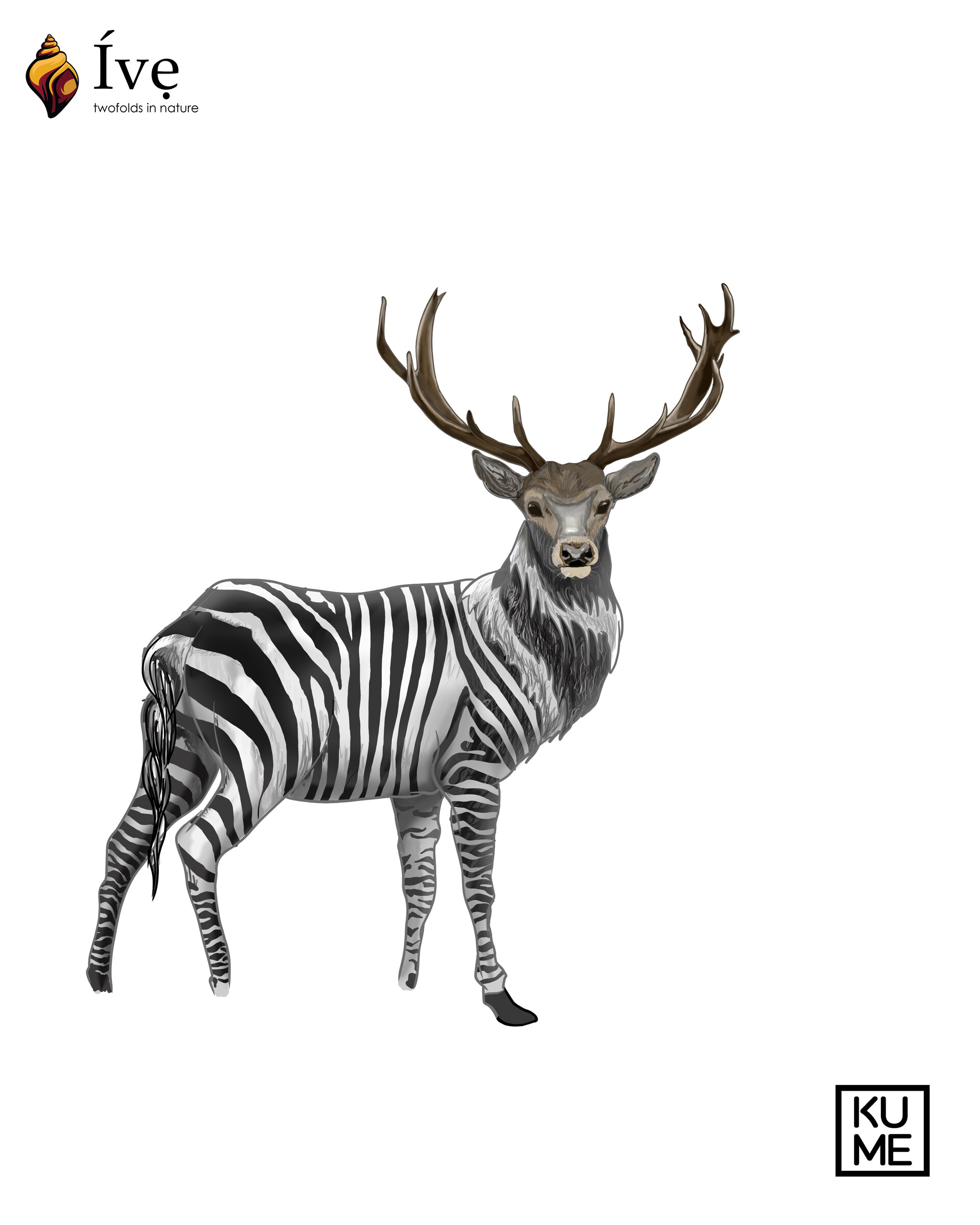 Deer Mixed With Zebra