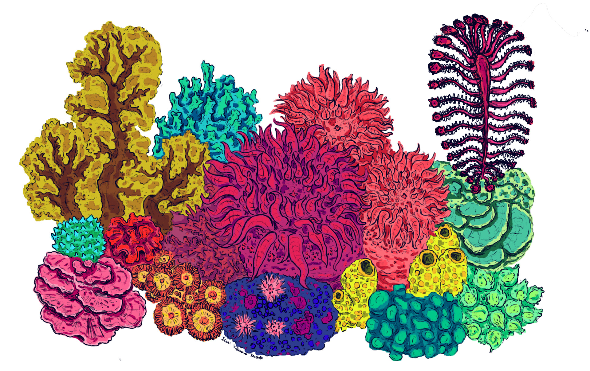 ArtStation - CORAL