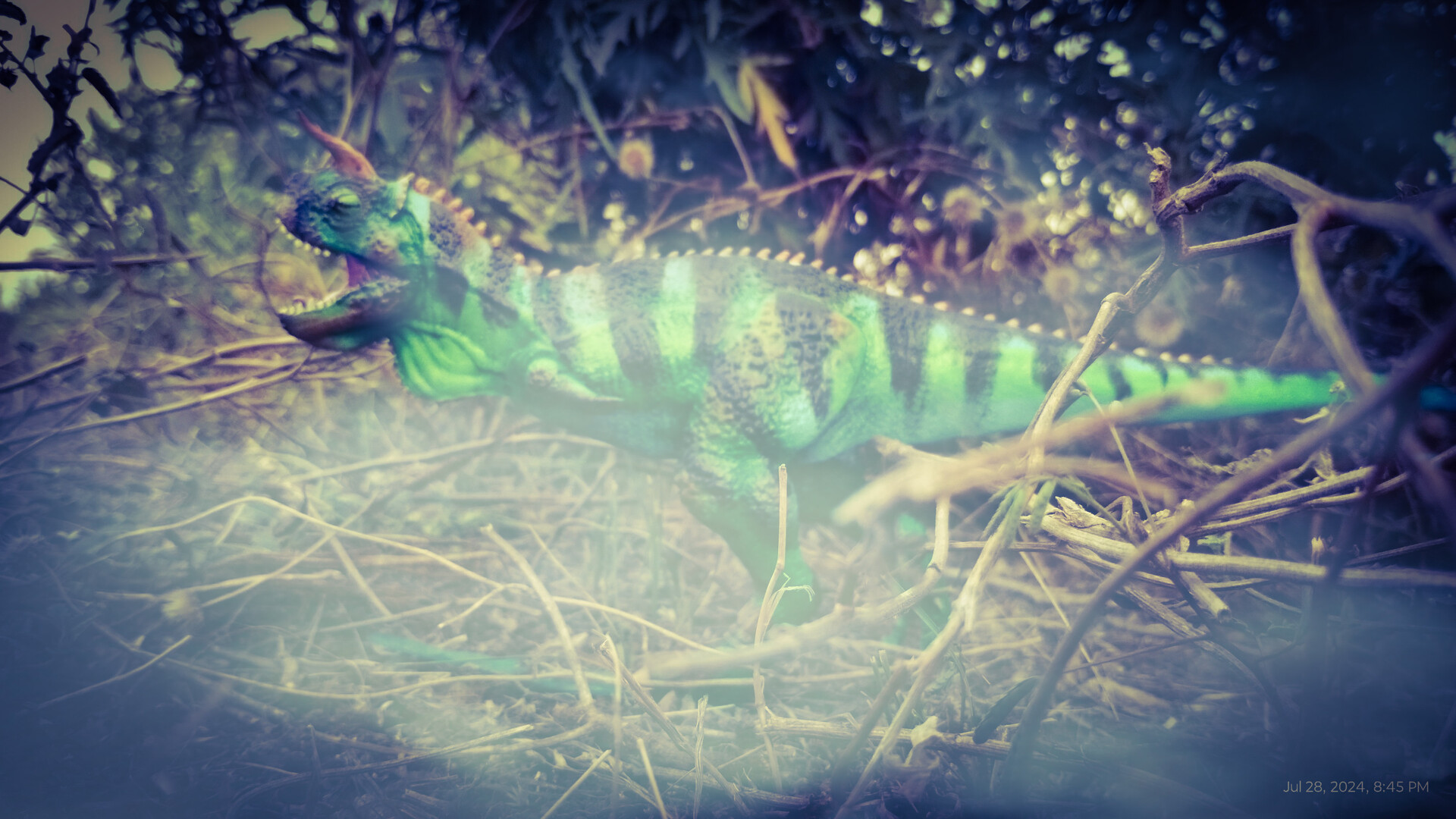 chameleon carnotaurus