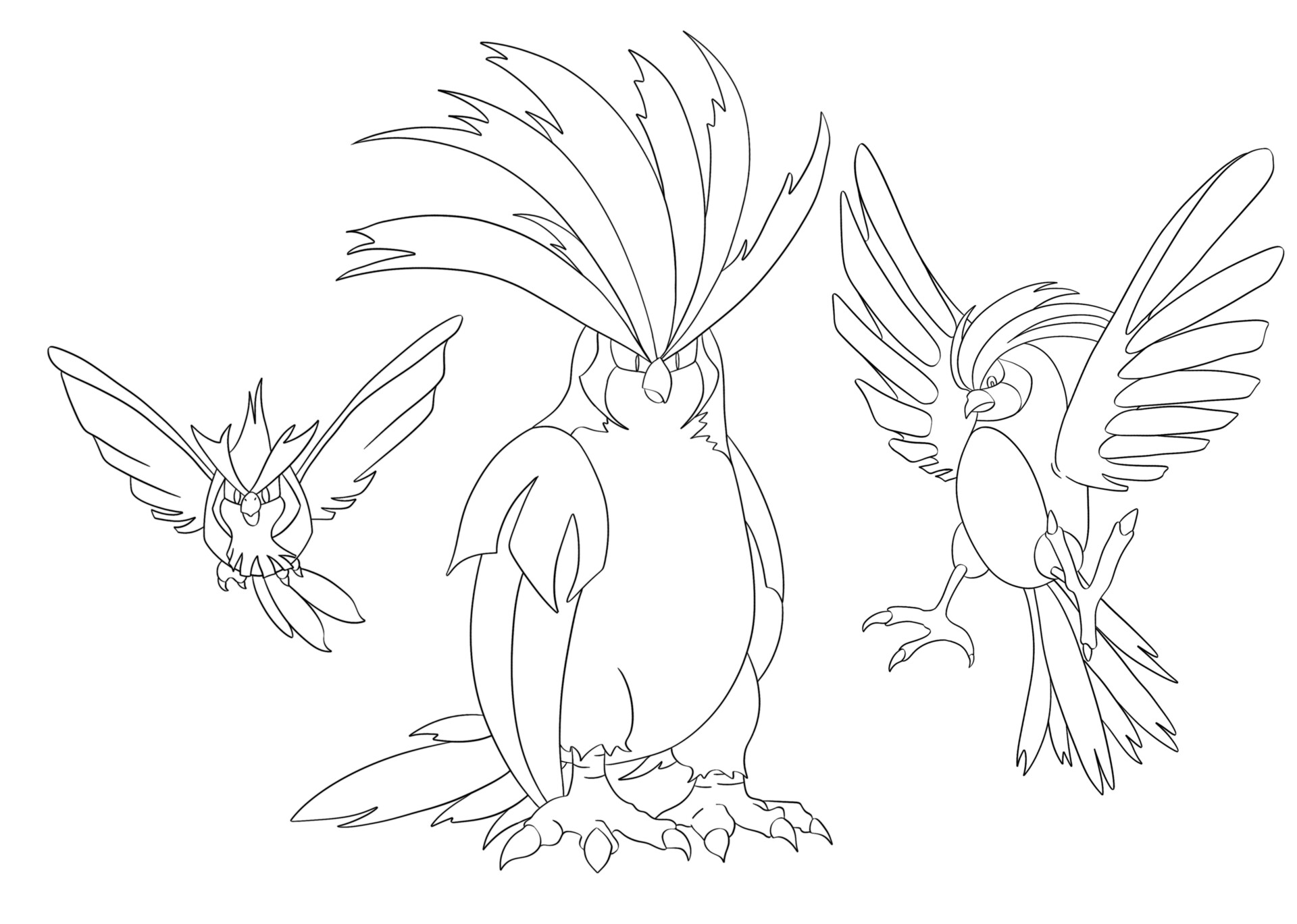 pidgeot coloring page