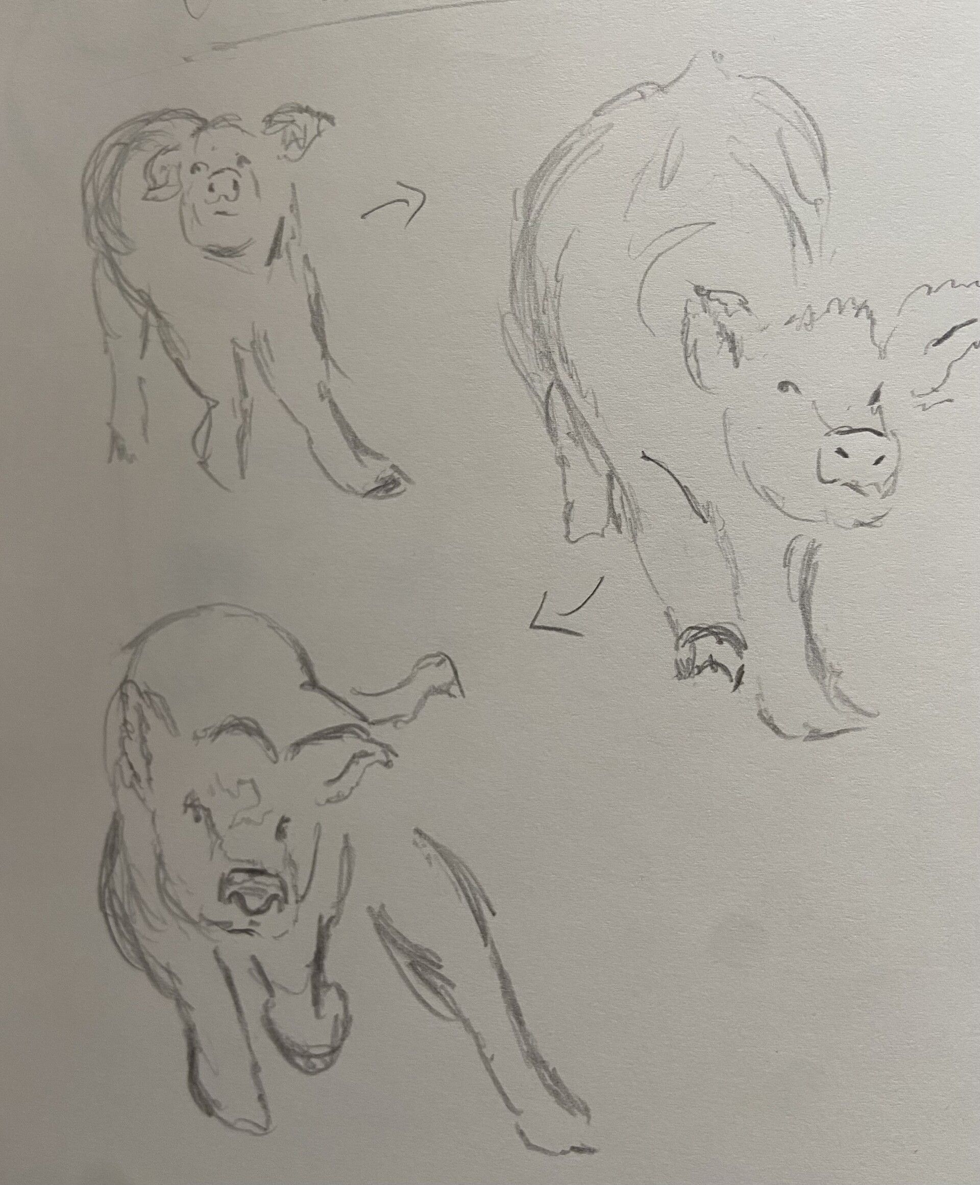 ArtStation - Cow calf animation drafts. Enjoy