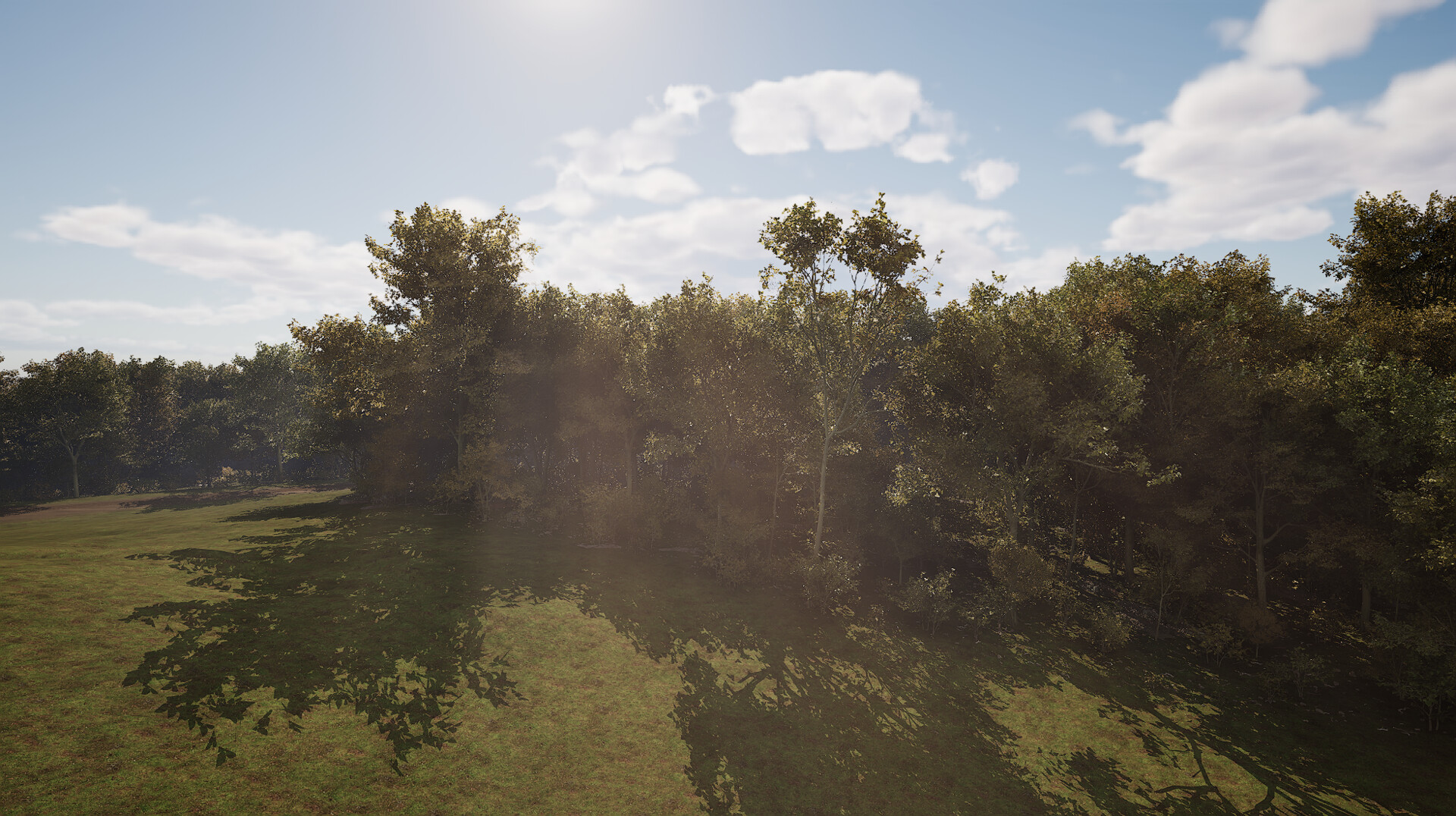 Jakub Zaręba - Big forest generator