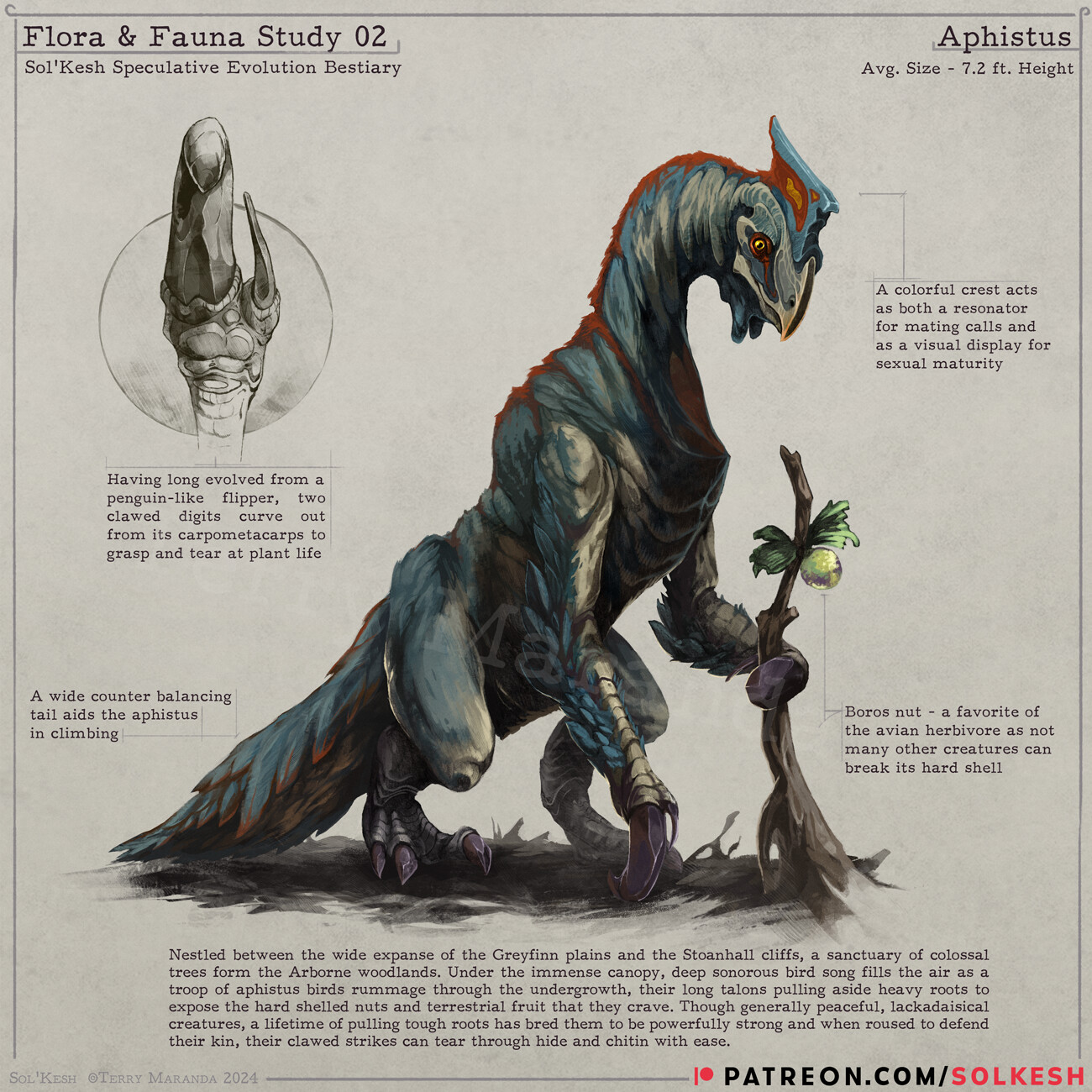 Terry Maranda - Creature Journal Aphistus