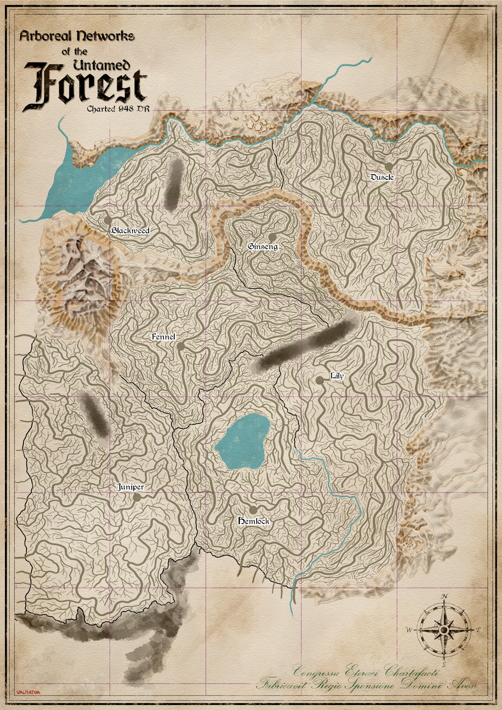 ArtStation - Arboreal Networks of the Untamed Forest