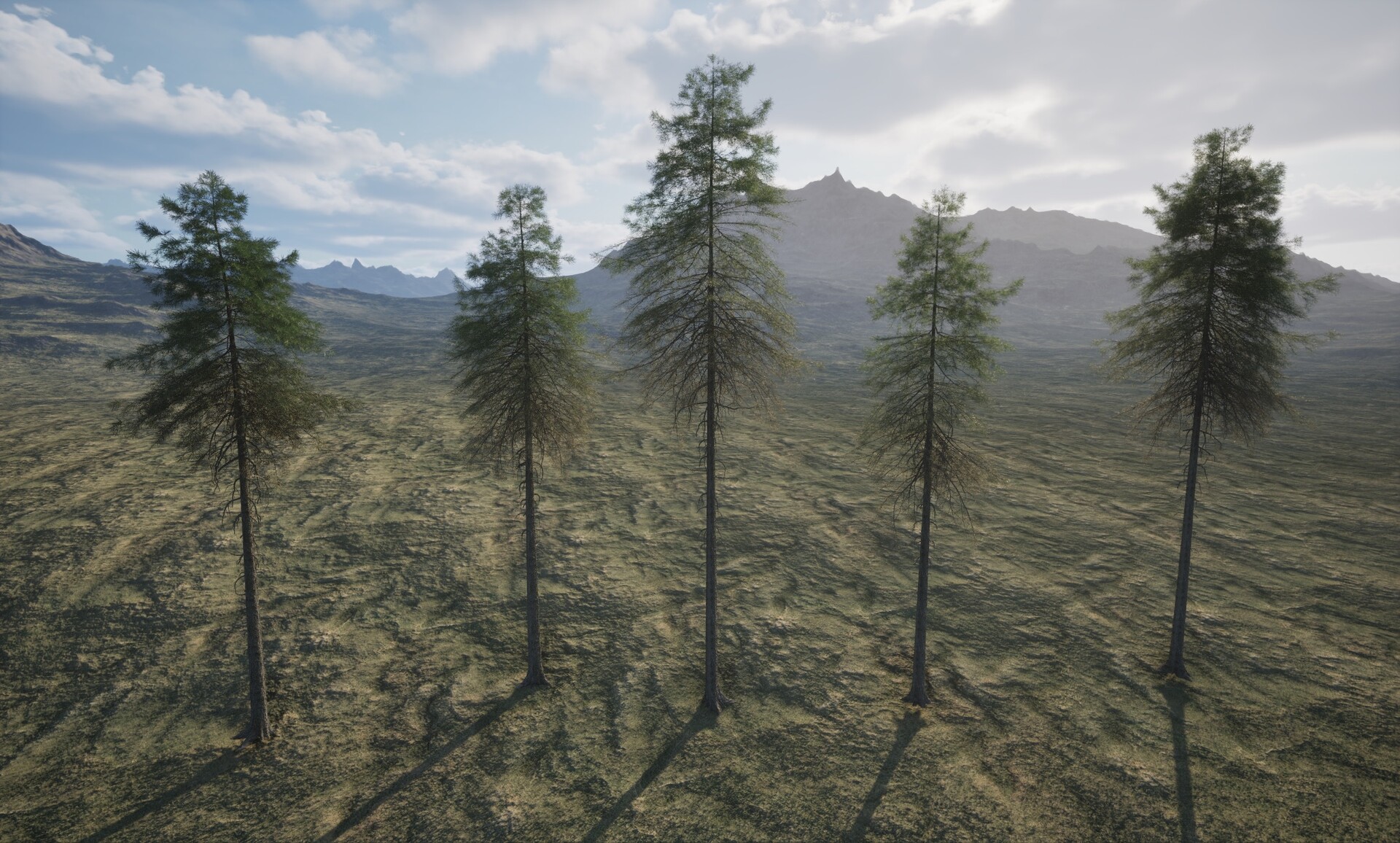 ArtStation - Nanite full geometry fir trees